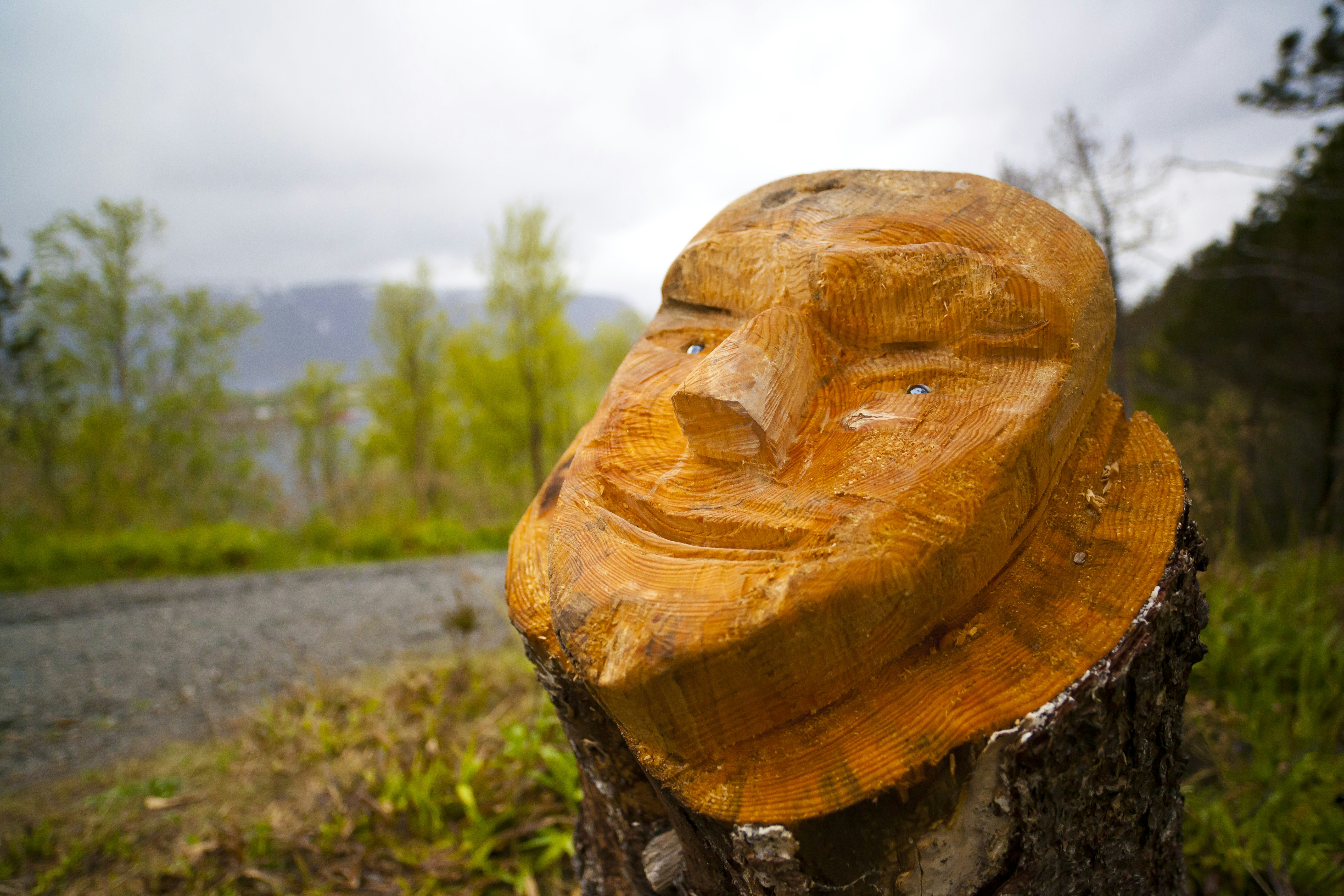 Smiling Carving: A Wooden Portrait on the Trail’s Edge