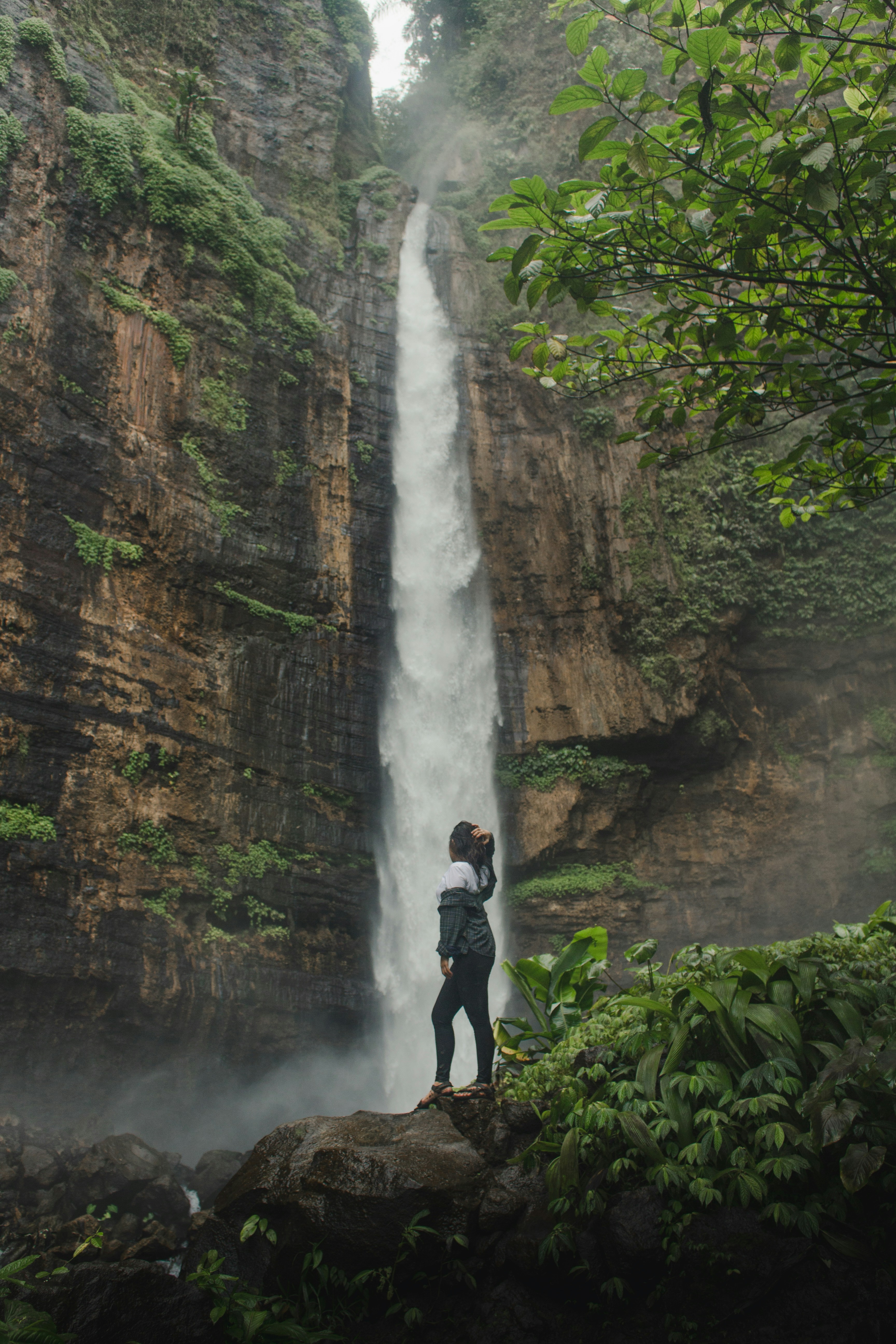 Person stands on a rock gazing at a tall waterfall surrounded by lush greenery.
