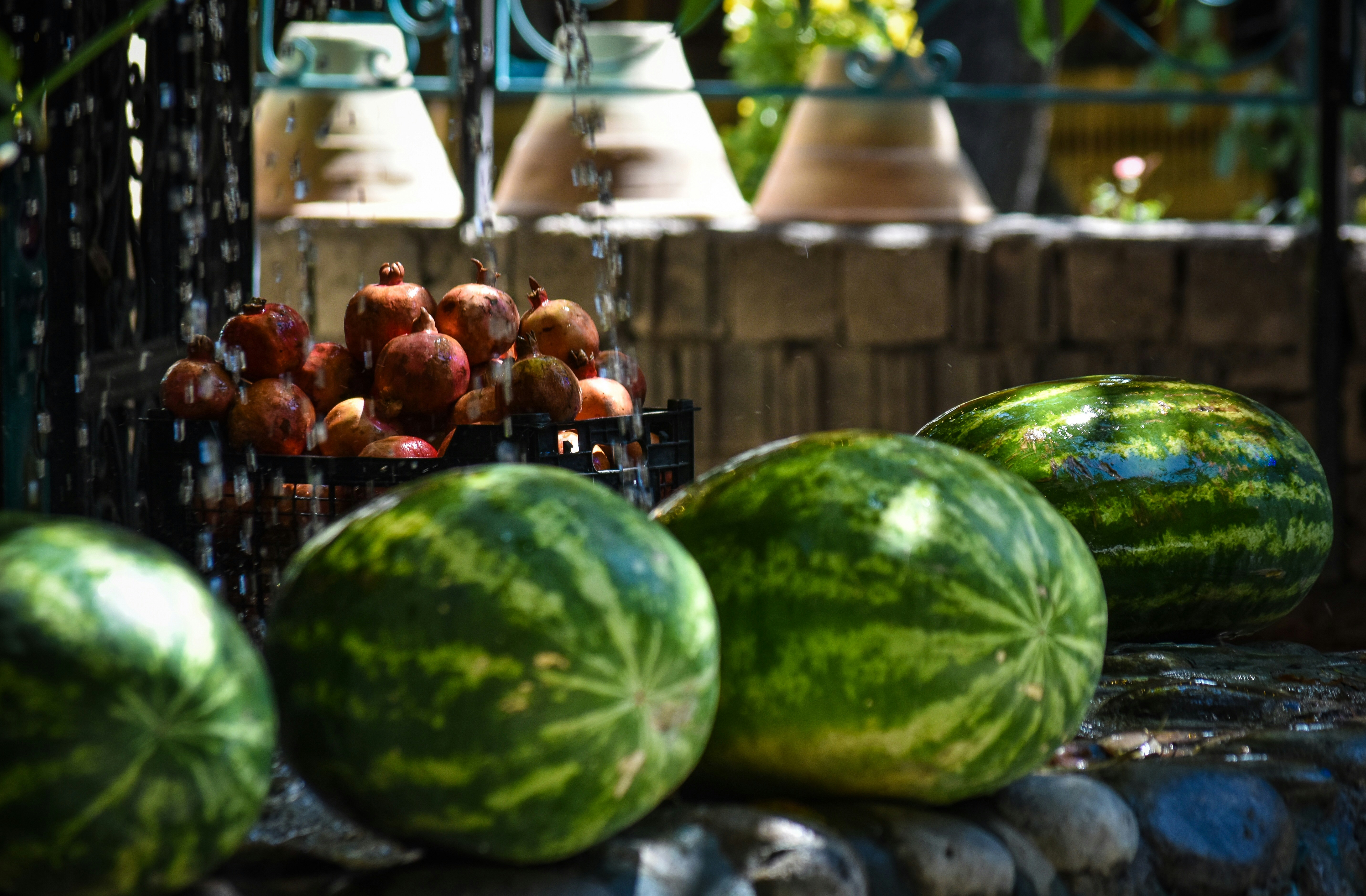 Four watermelons photo – Free Food Image on Unsplash
