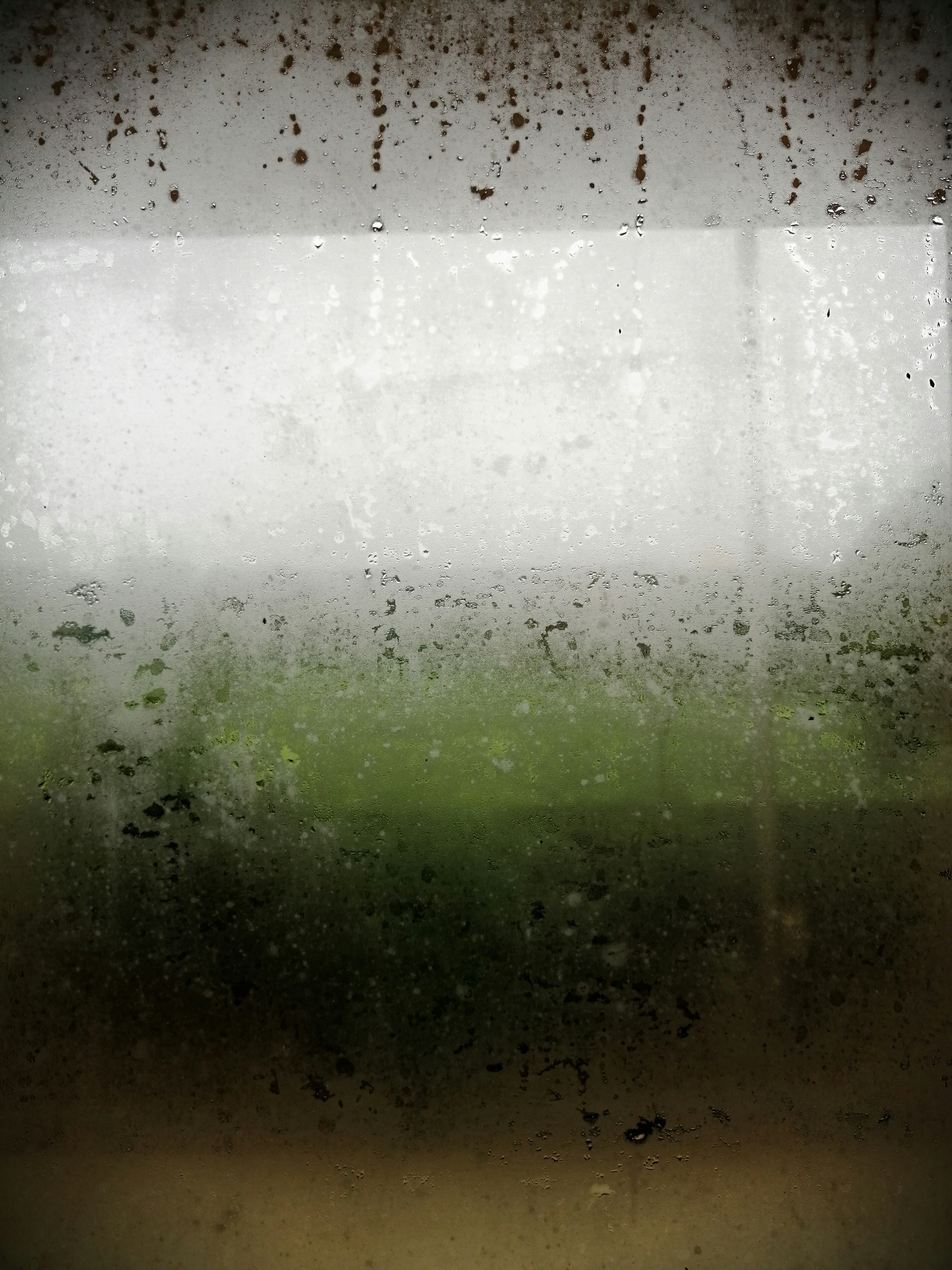 Foto Panel de vidrio transparente – Imagen Gris gratis en Unsplash
