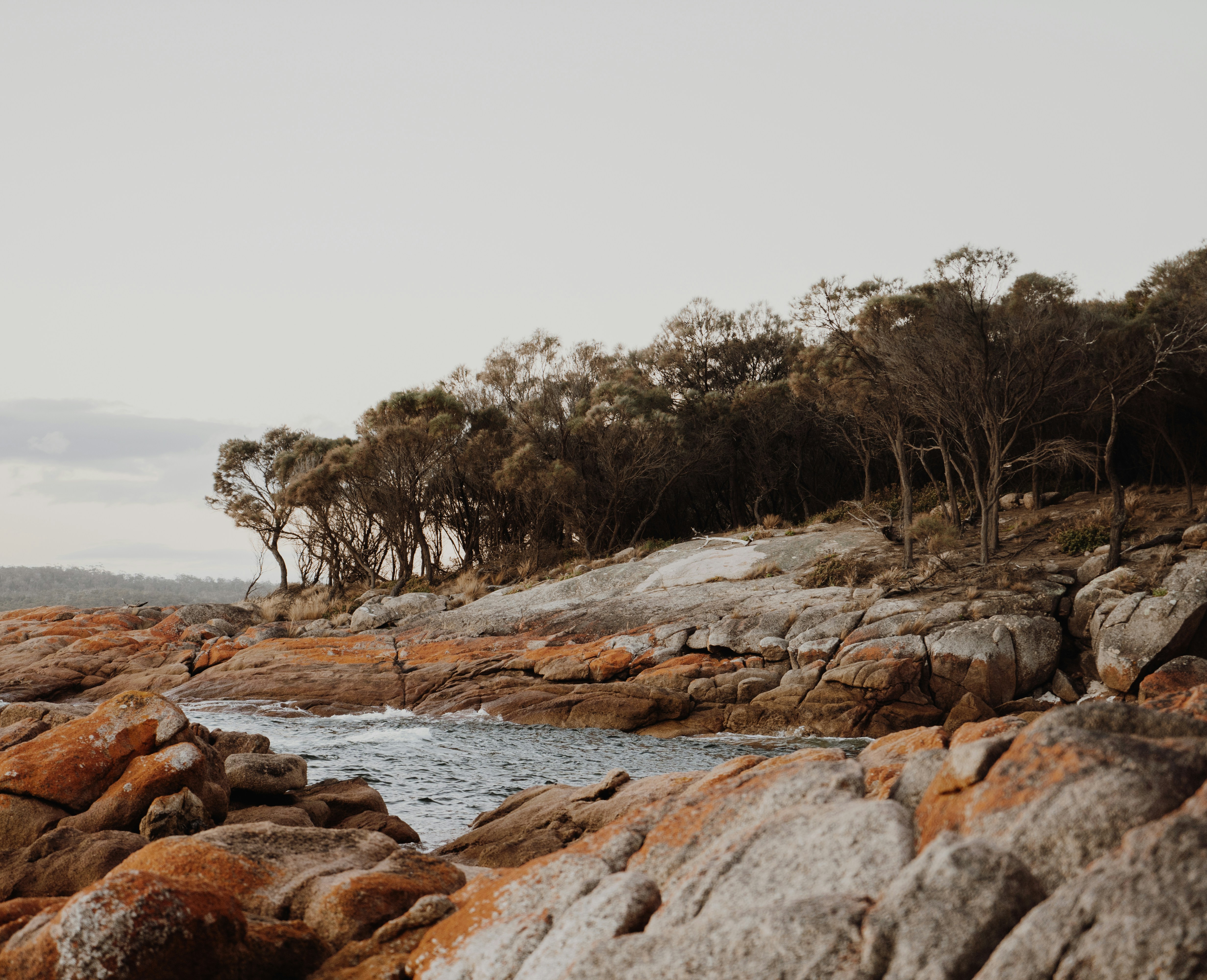 Sam Mozaffari (@smoz) | Unsplash Photo Community