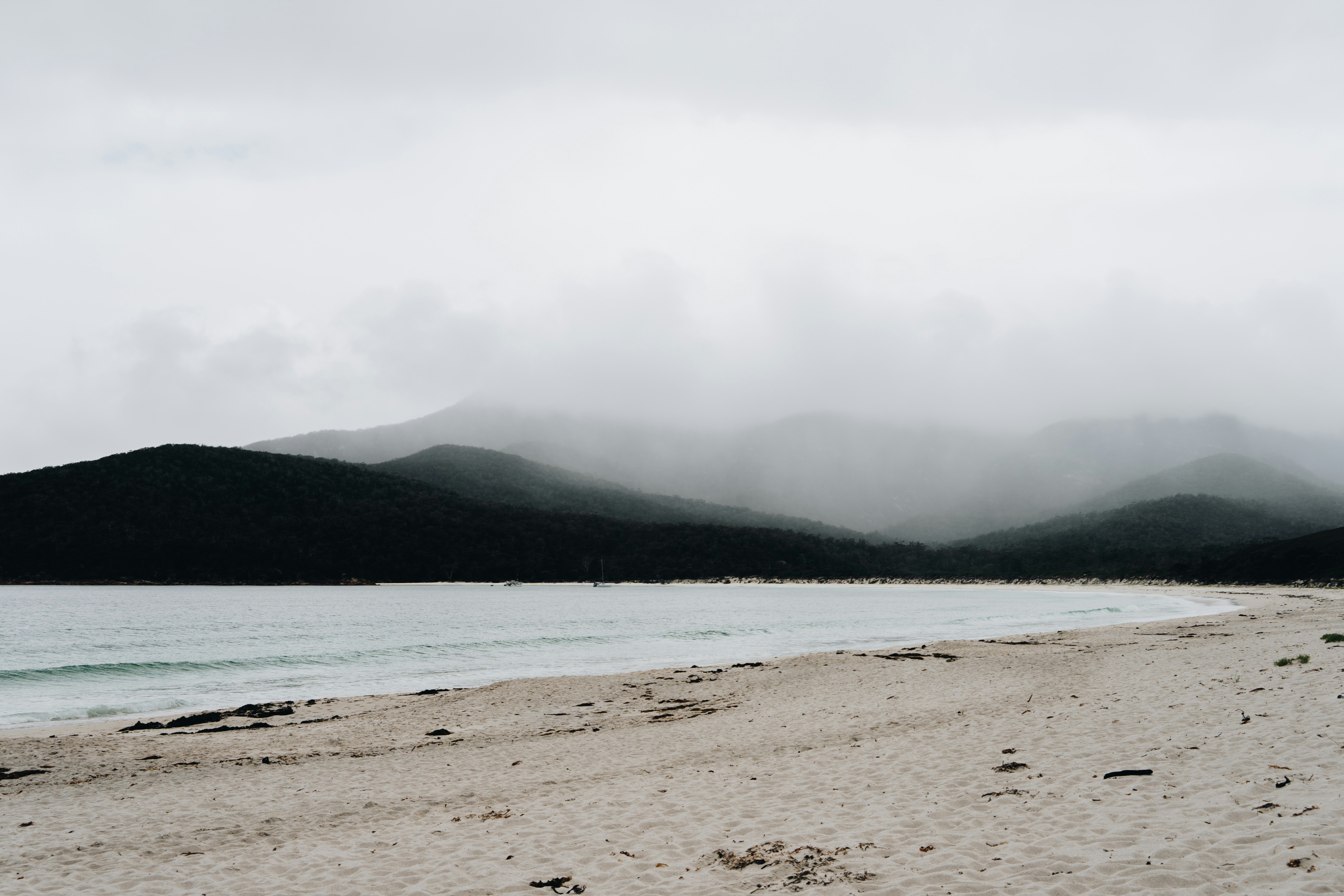 Sam Mozaffari (@smoz) | Unsplash Photo Community