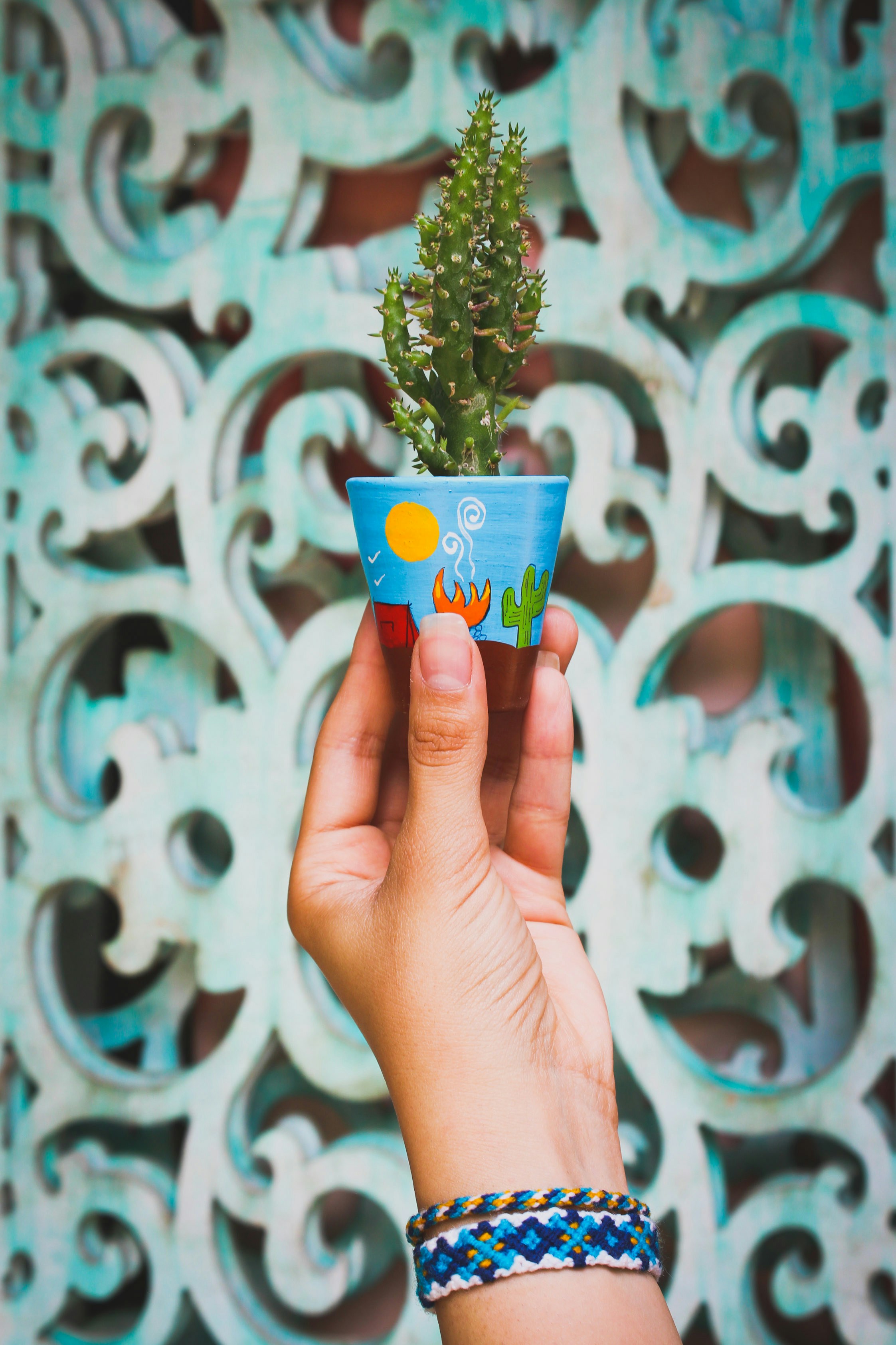 green succulent plant