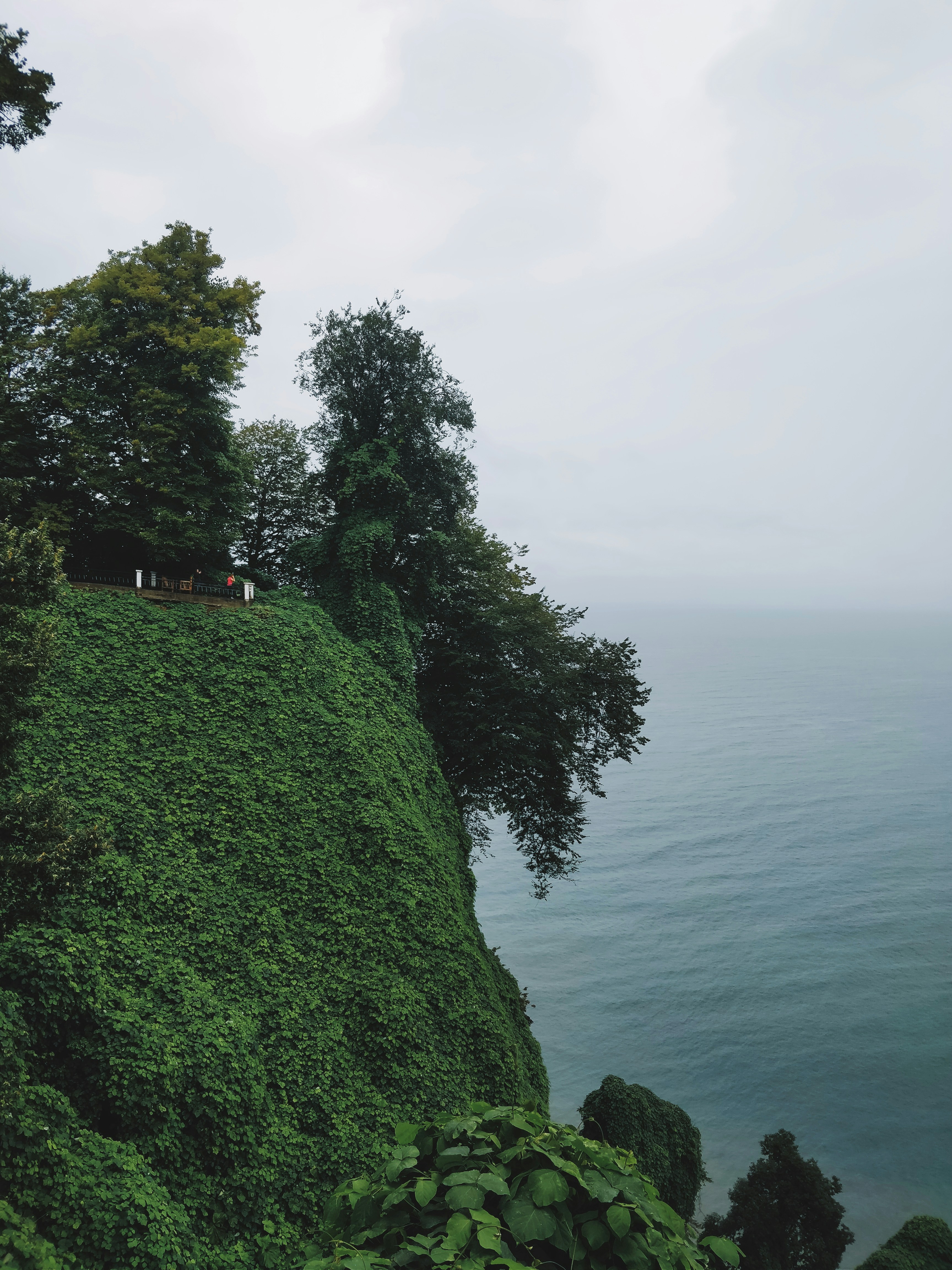 Cliffside vantage: greenscape meeting the open sea