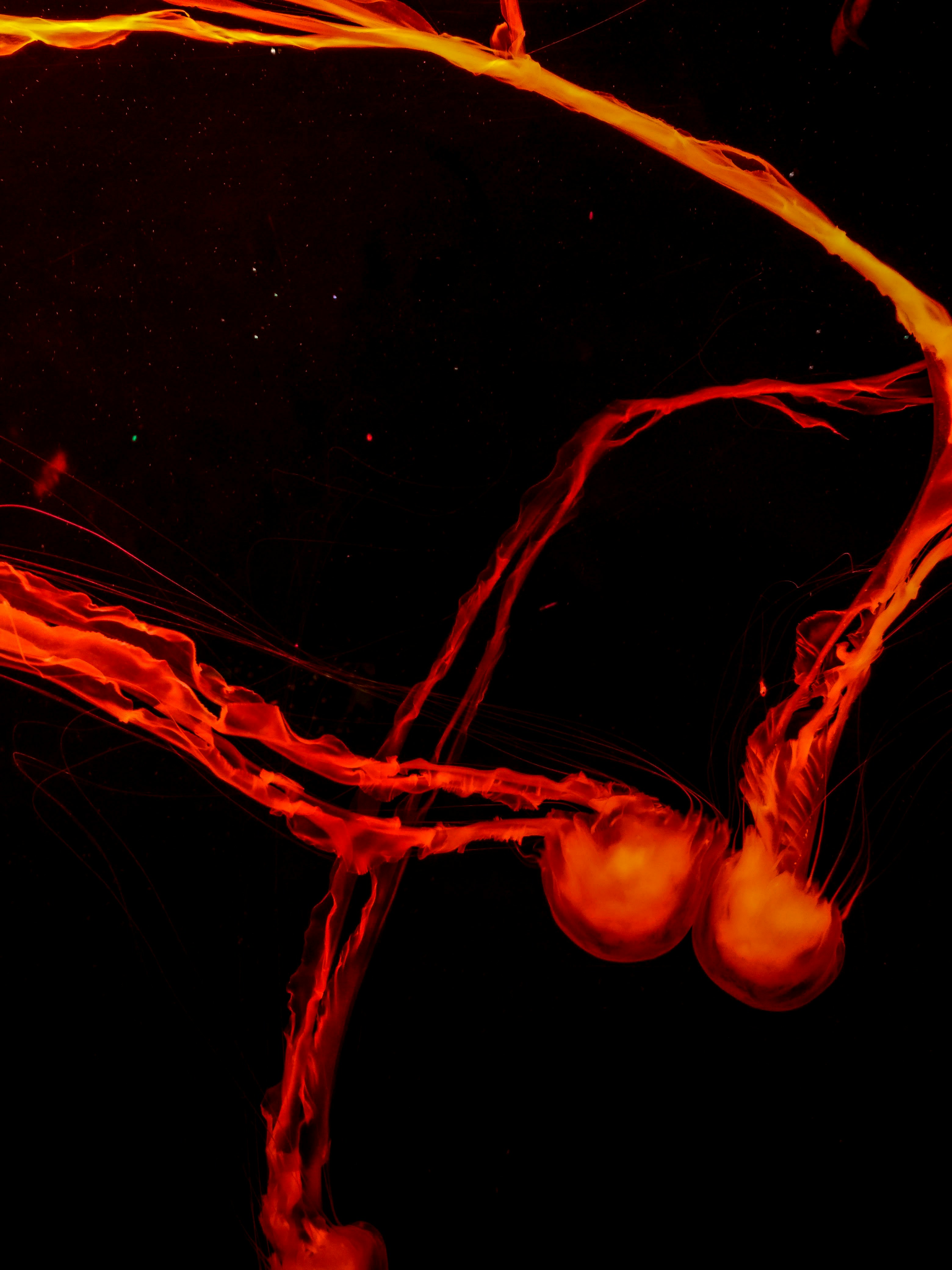 What To Expect From Spg Jakarta? - NAZ Agency