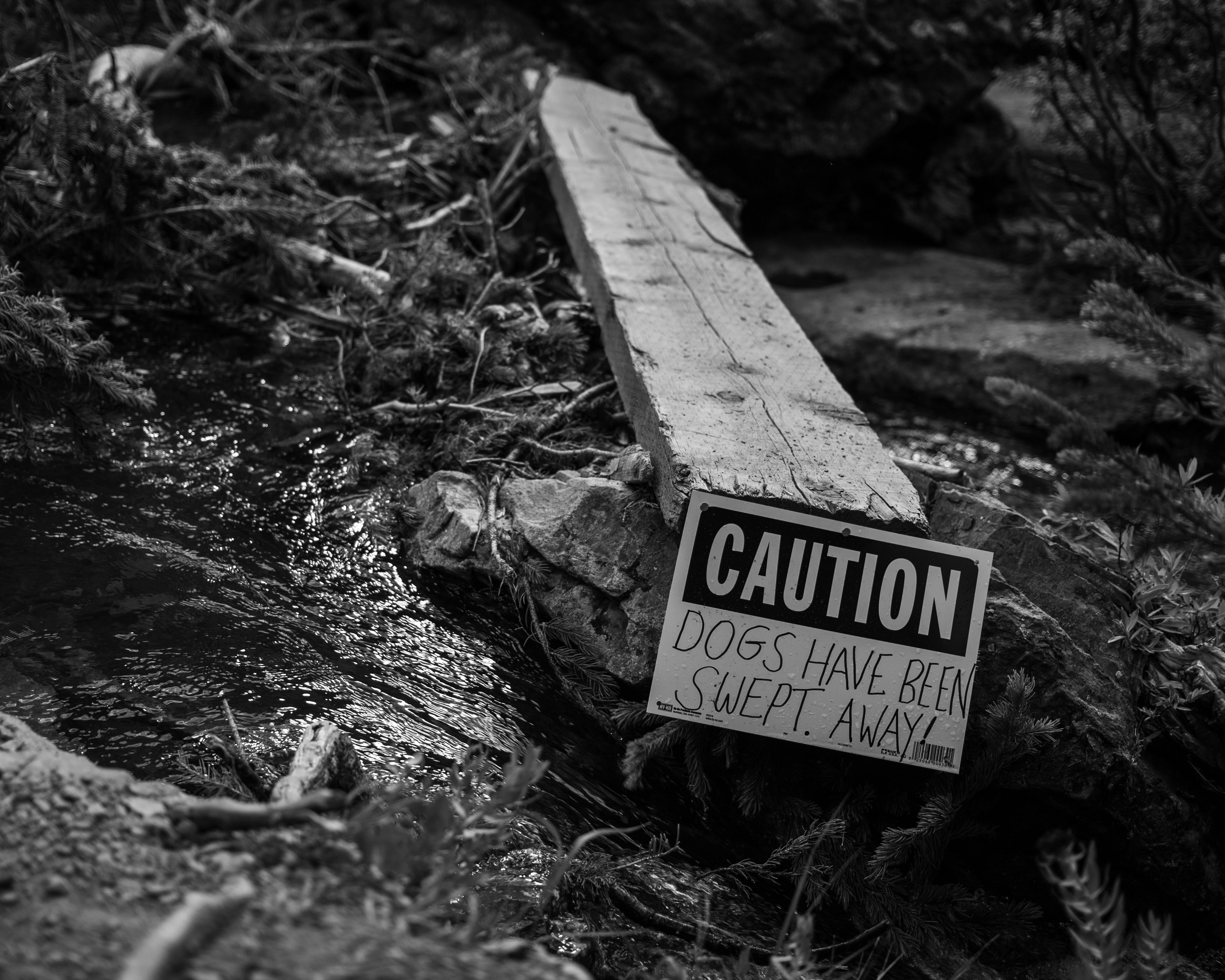 Caution Sign Resting on a Weathered Plank over a Shadowed Creek