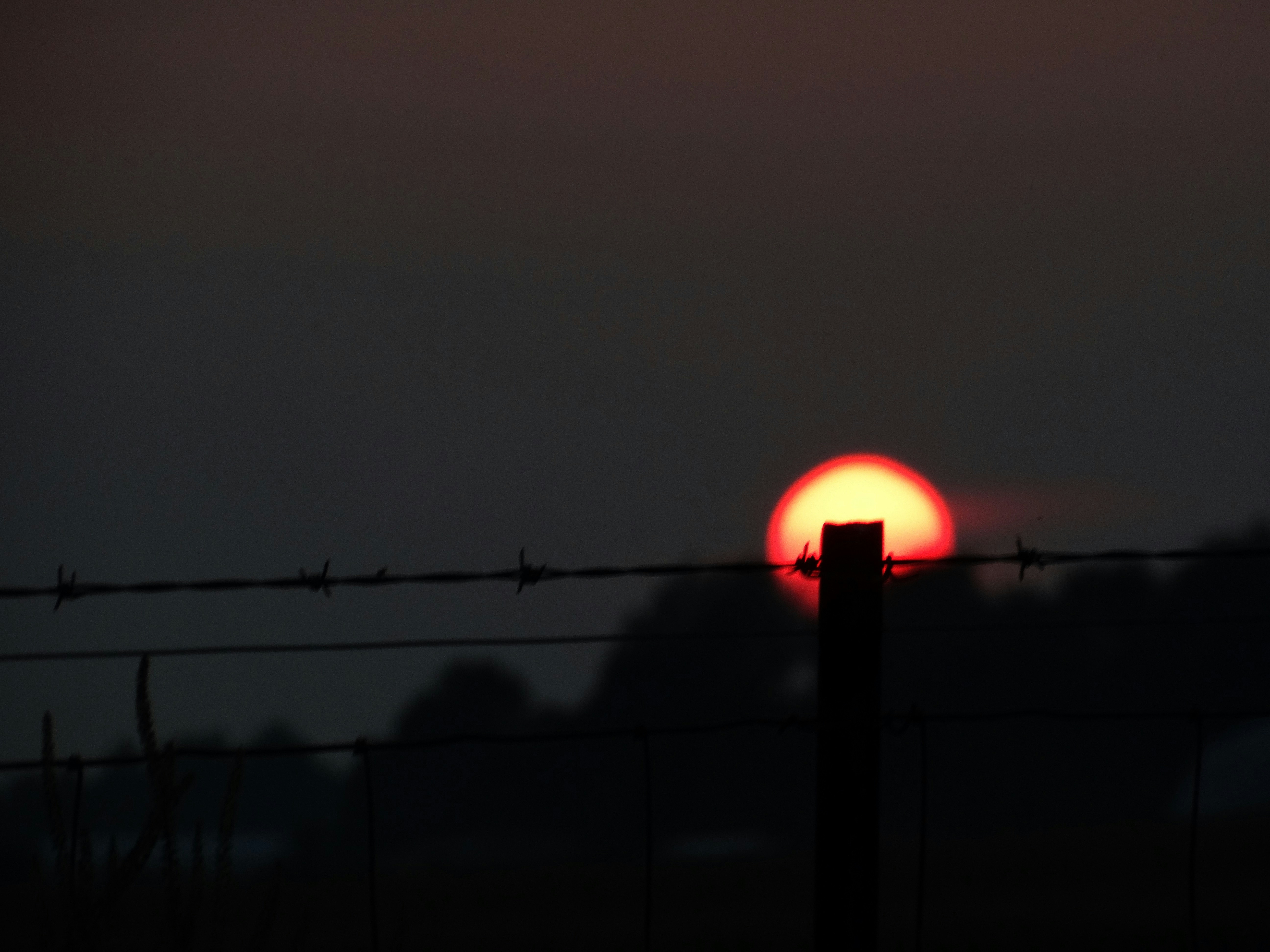 Barbed wire silhouettes frame a crimson sun dipping toward the horizon, creating a stark dusk mood.