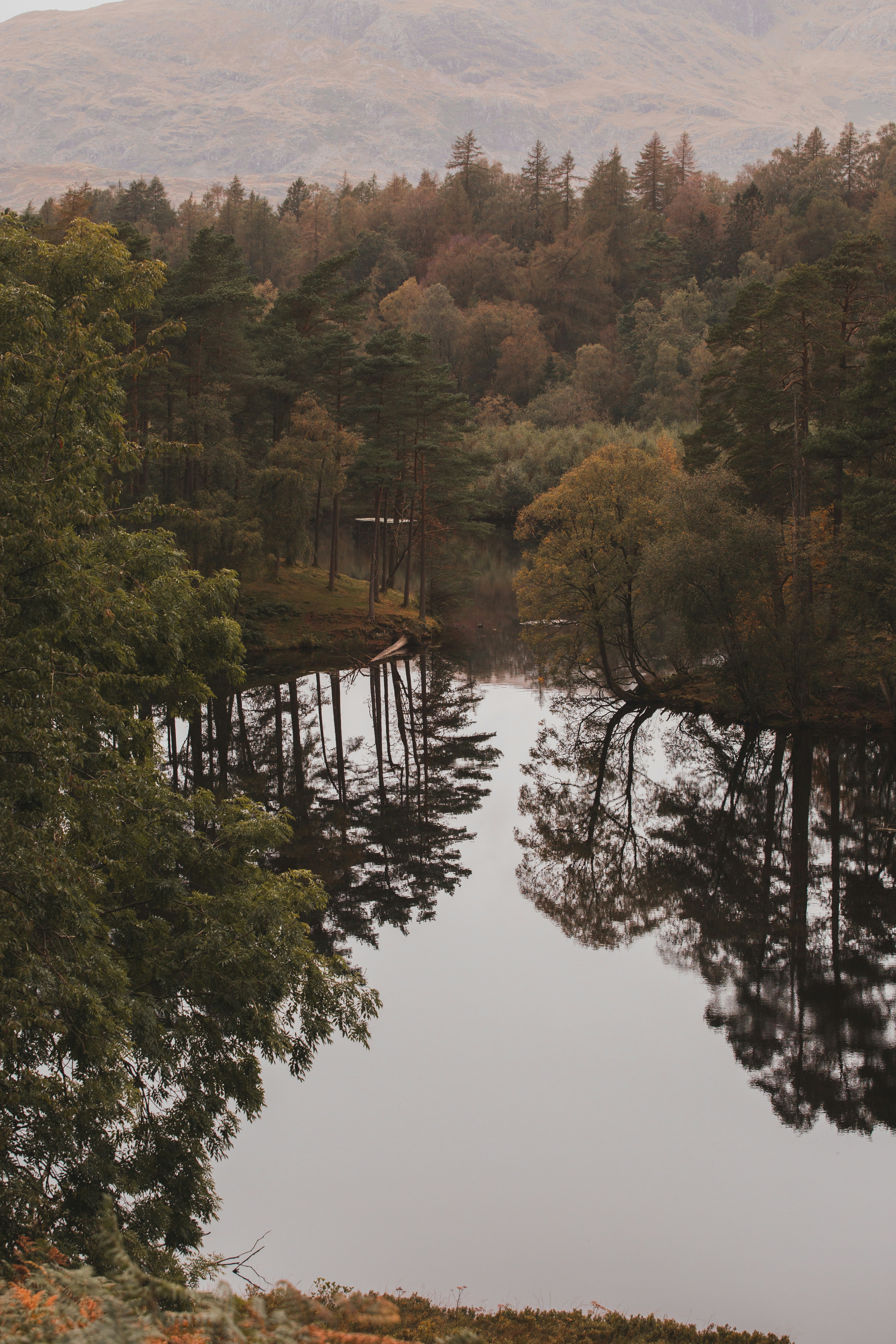Green trees photo – Free Tarn hows lake district Image on Unsplash