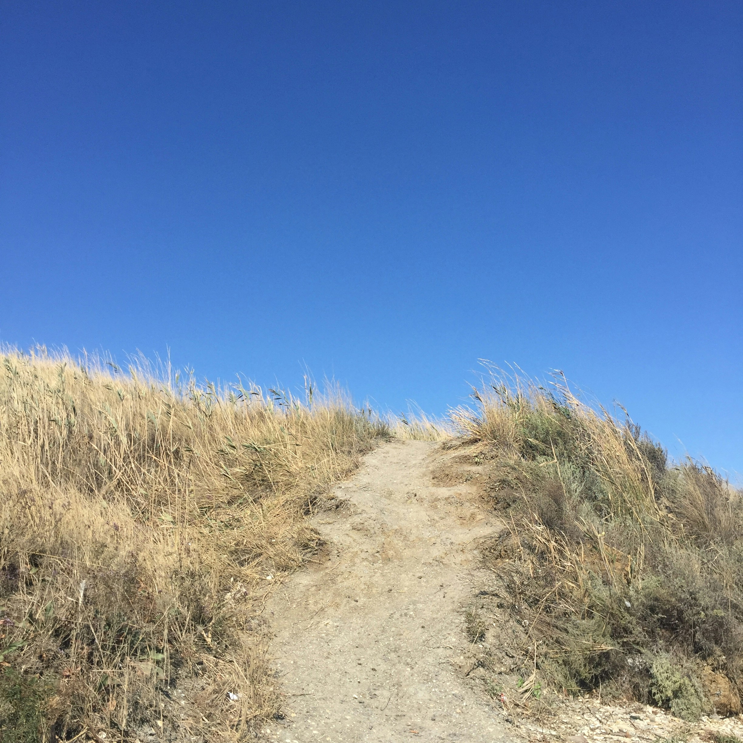 Pathway to the Sky