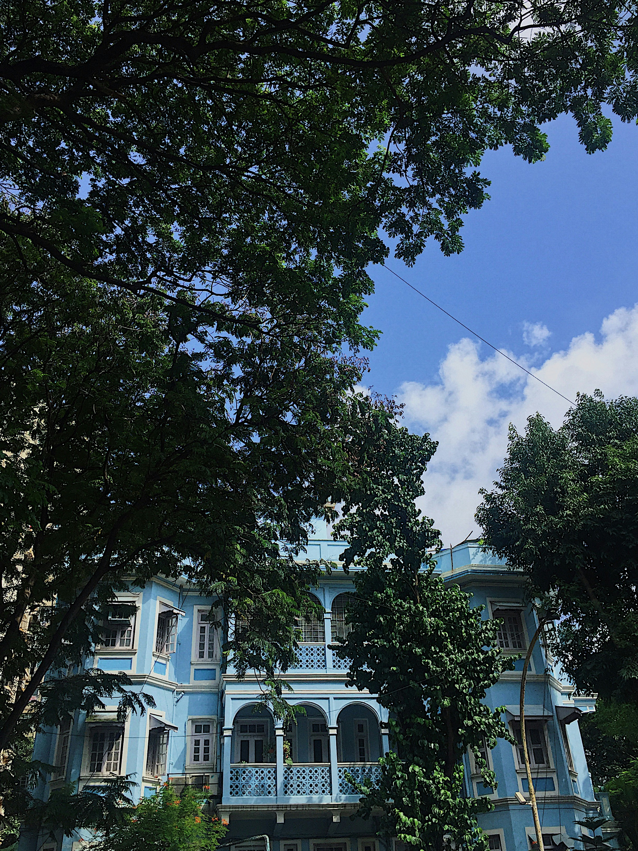 Teal building beside tree photo – Free Building Image on Unsplash