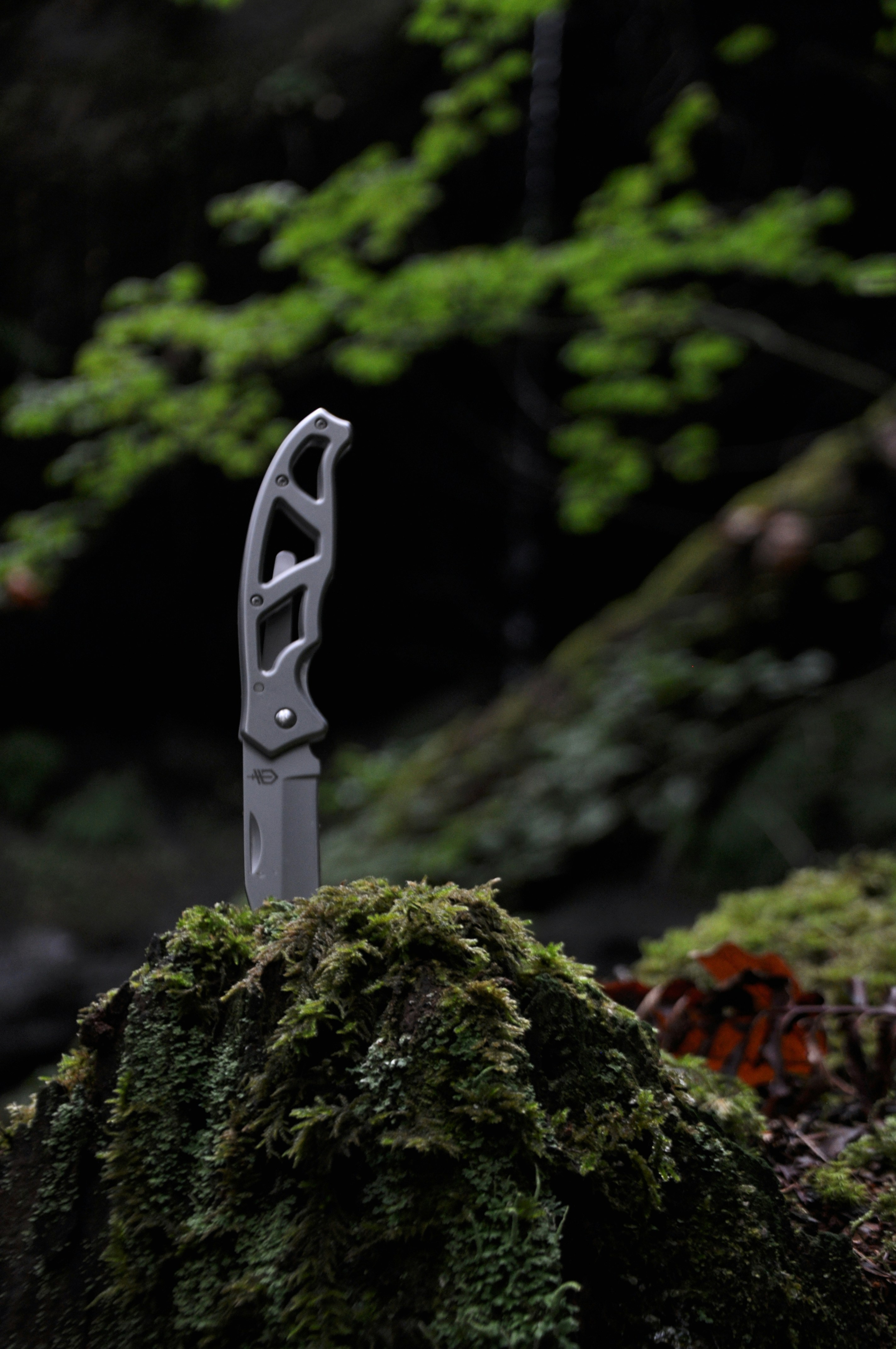 Skeleton Knife Emerges from Moss in Dim Forest Stillness