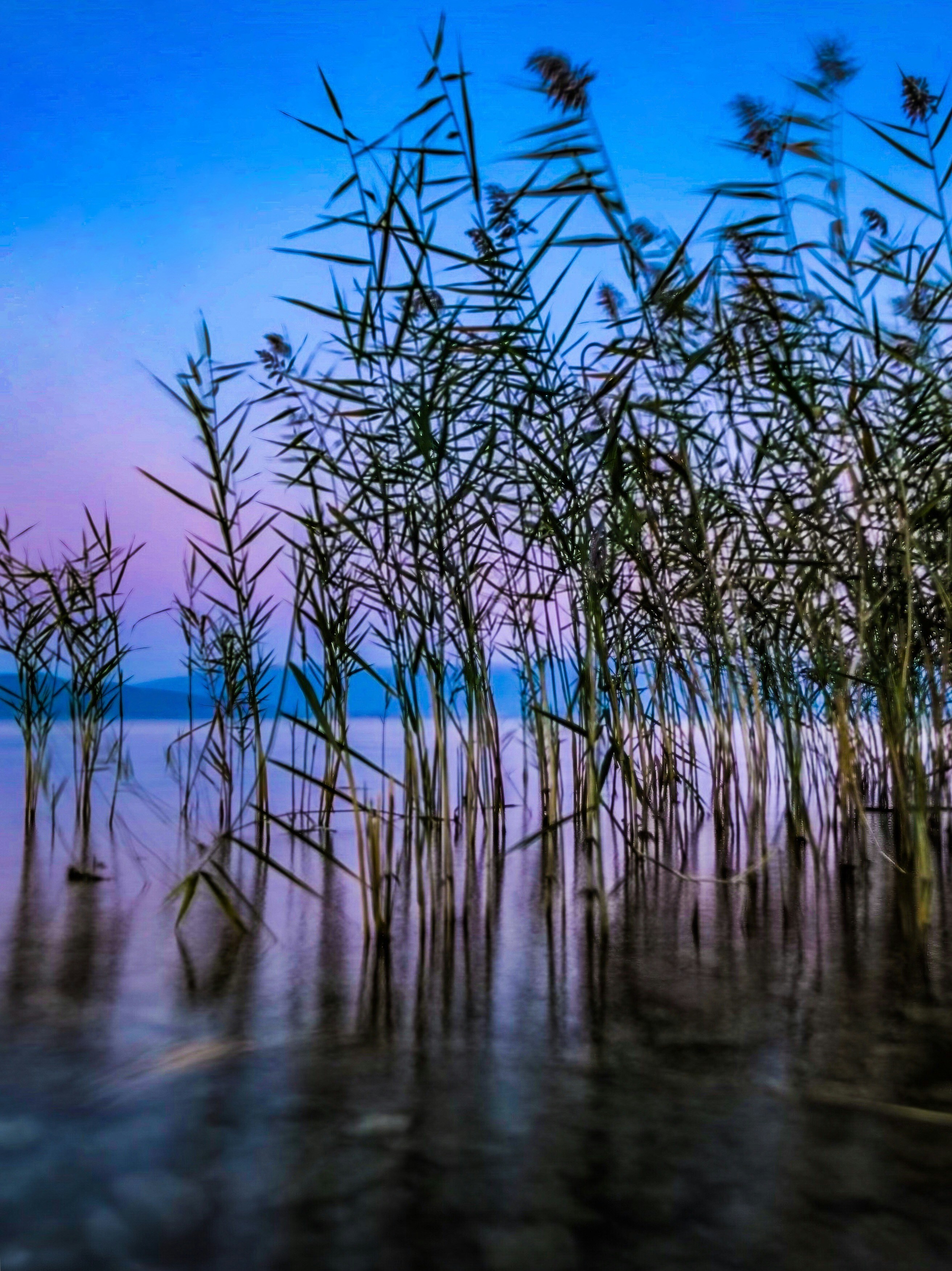 Green grass during daytime photo – Free Sunset Image on Unsplash