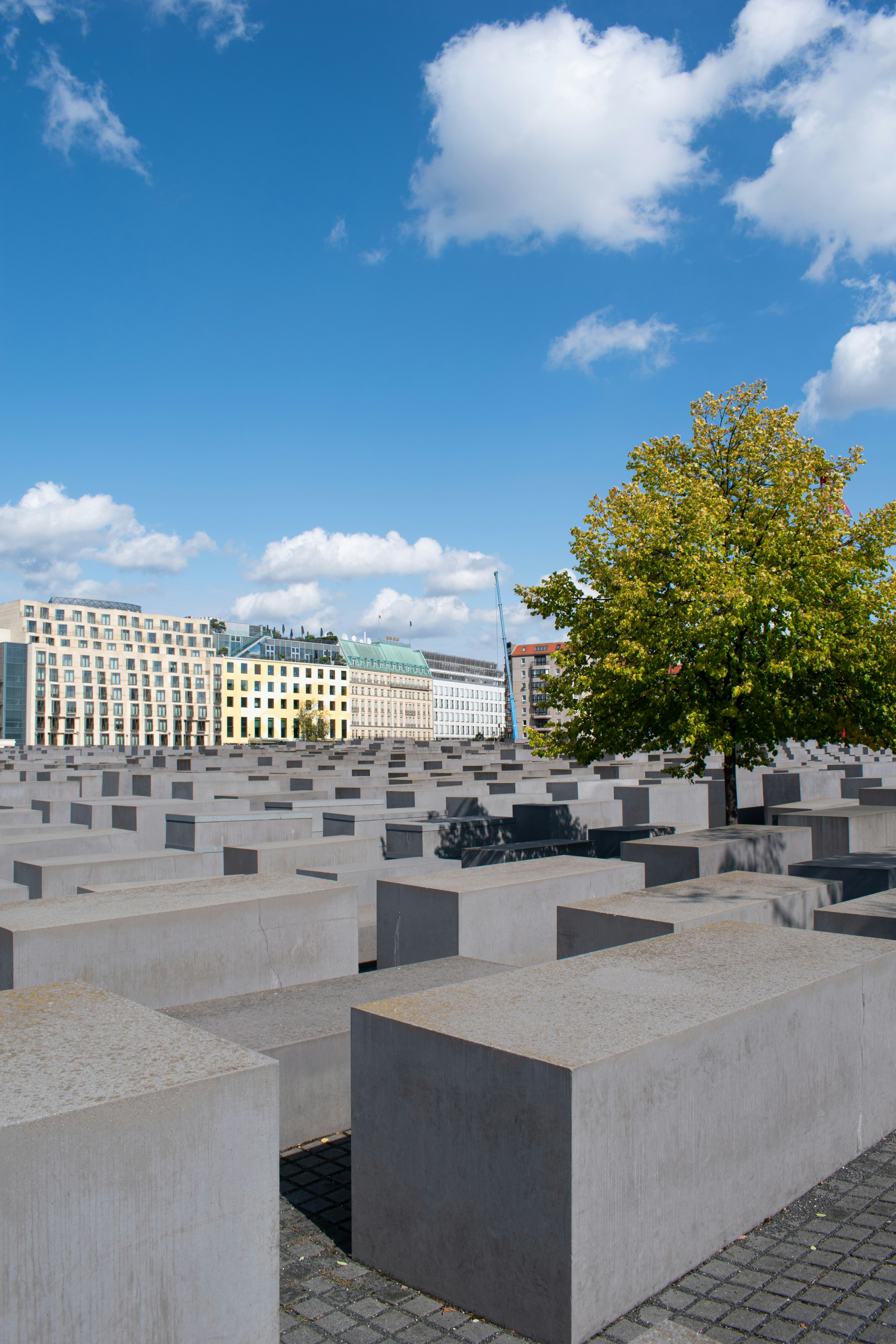 A solitary tree stands tall amidst a sea of concrete blocks, symbolizing resilience in a memorial space. The clear blue sky enhances the stark contrast between nature and architecture.