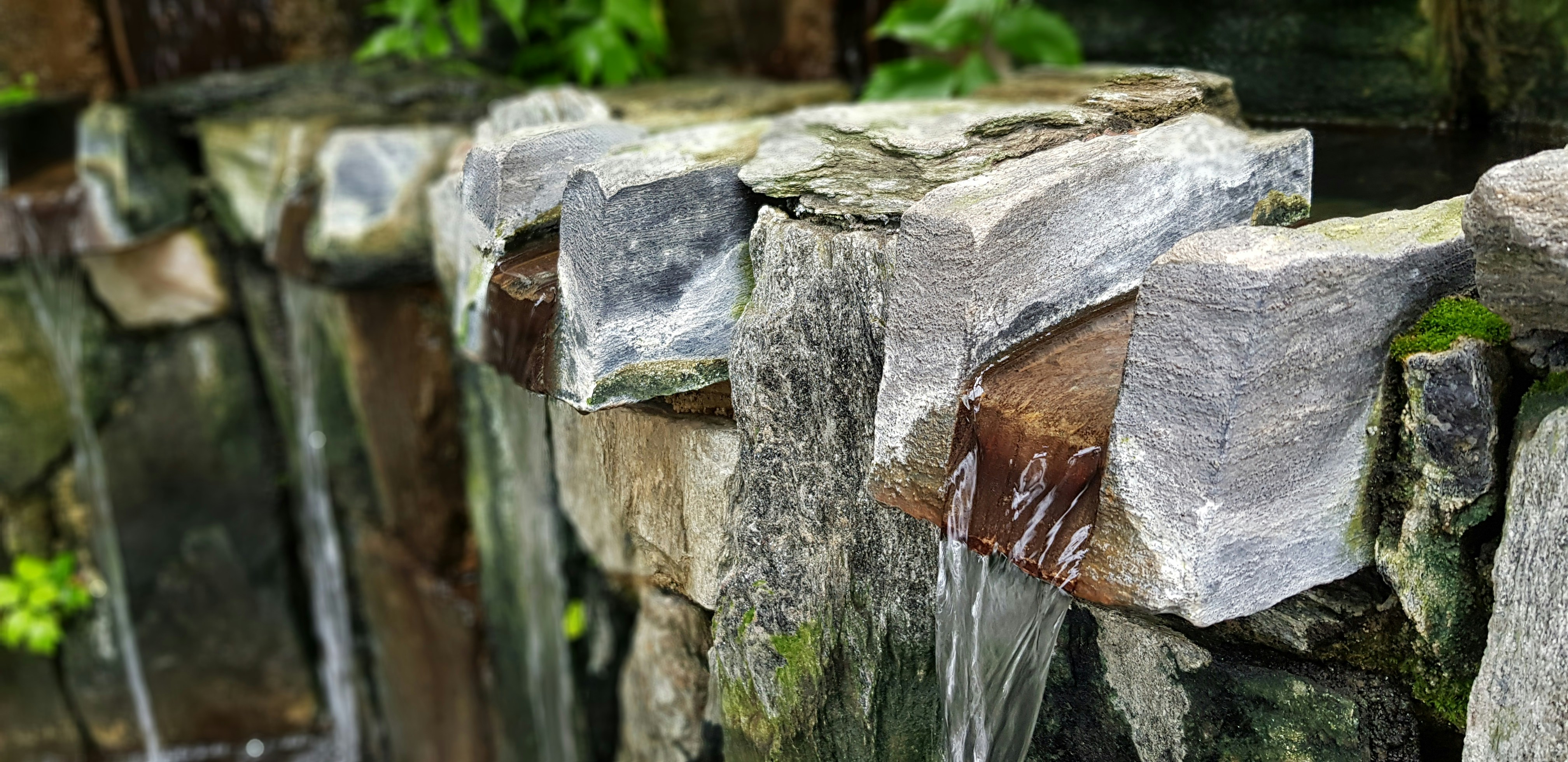 Raymond T. (@jajangmyeon) | Unsplashフォトコミュニティ