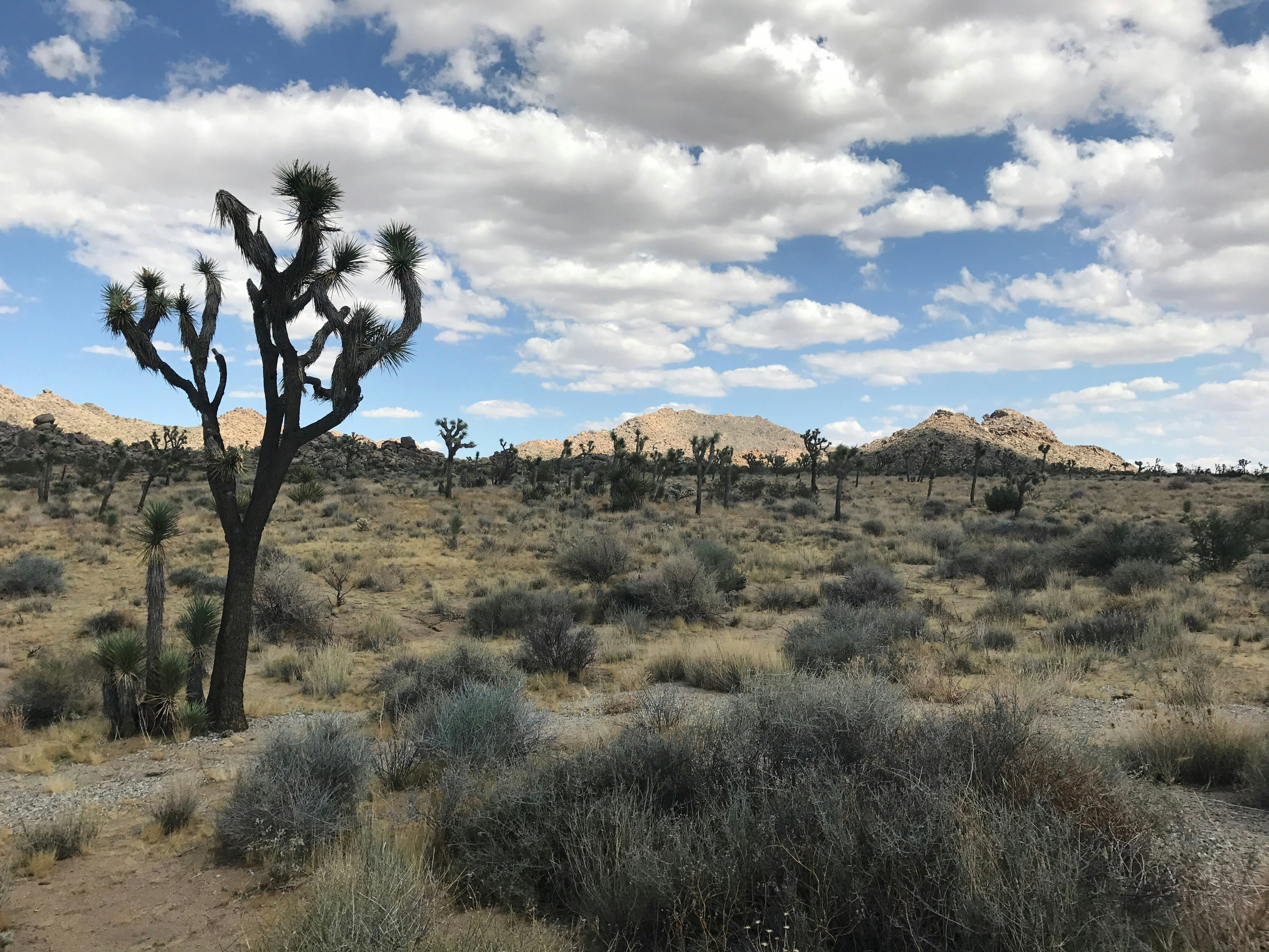 John Jensen (@nakai2k) | Unsplash Photo Community