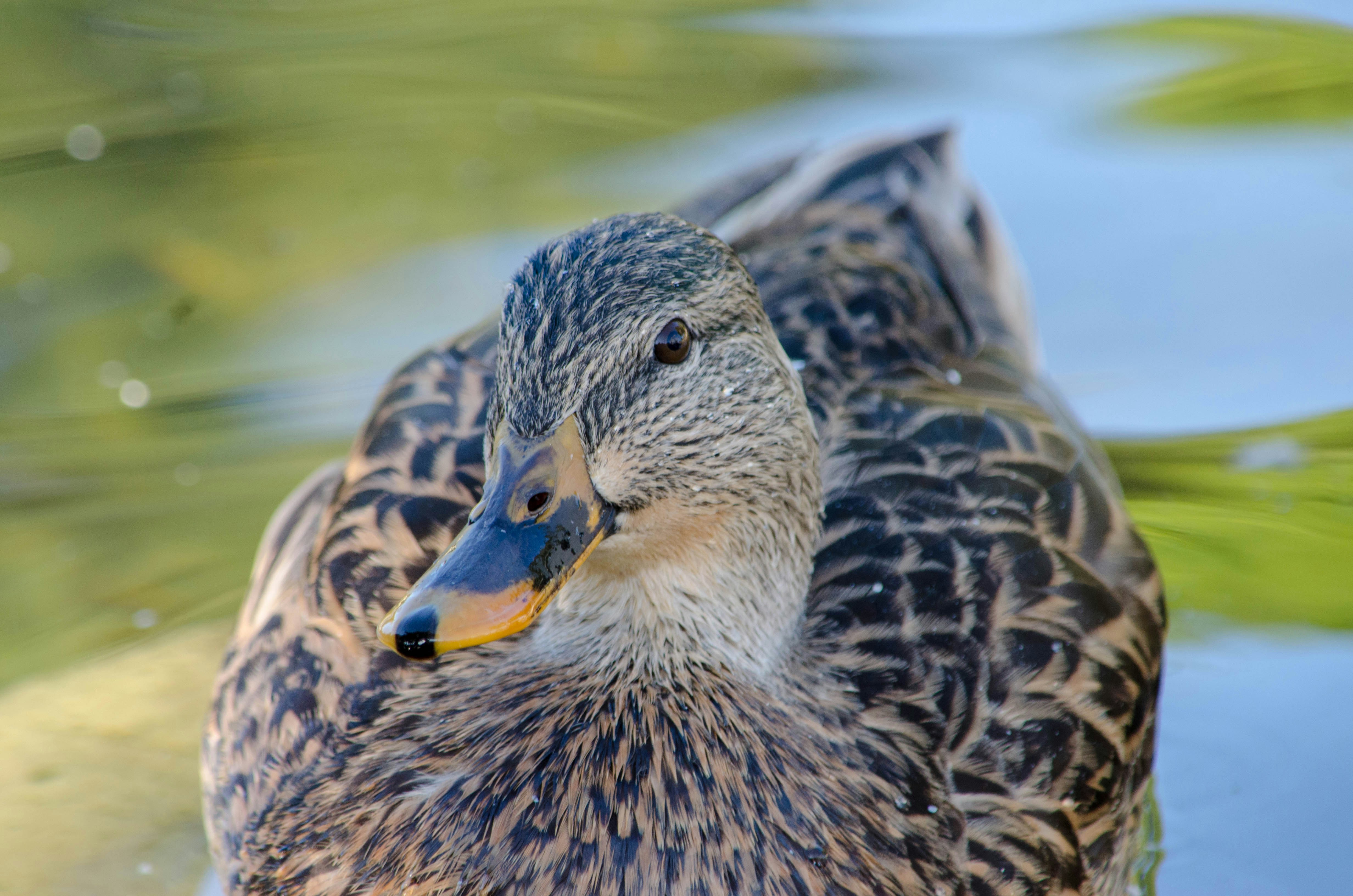 Alan Hardman (@alanaktion) | Unsplash Photo Community