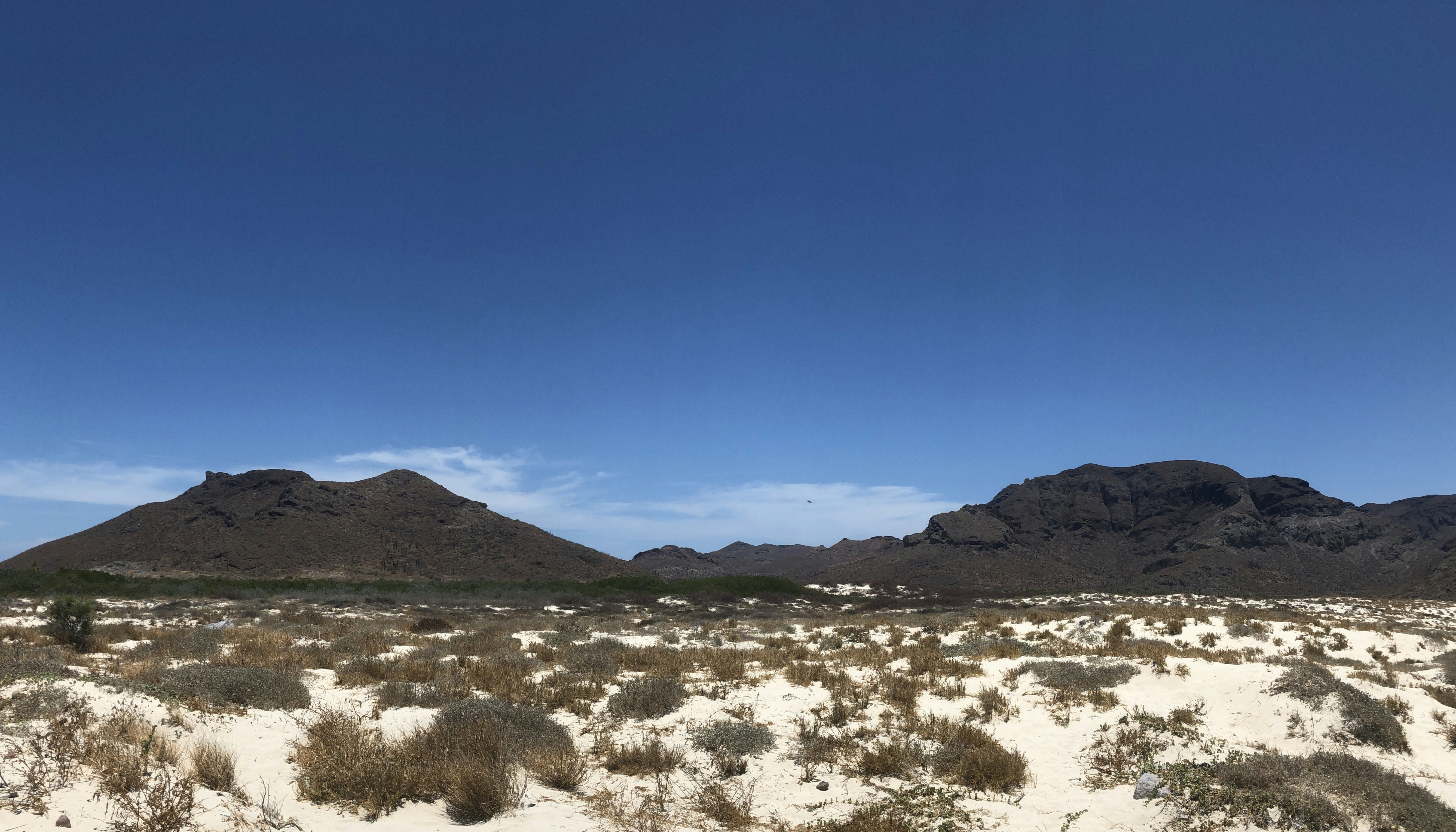 Vast desert landscape featuring two prominent mountains under a clear blue sky, with sparse vegetation dotting the sandy terrain.