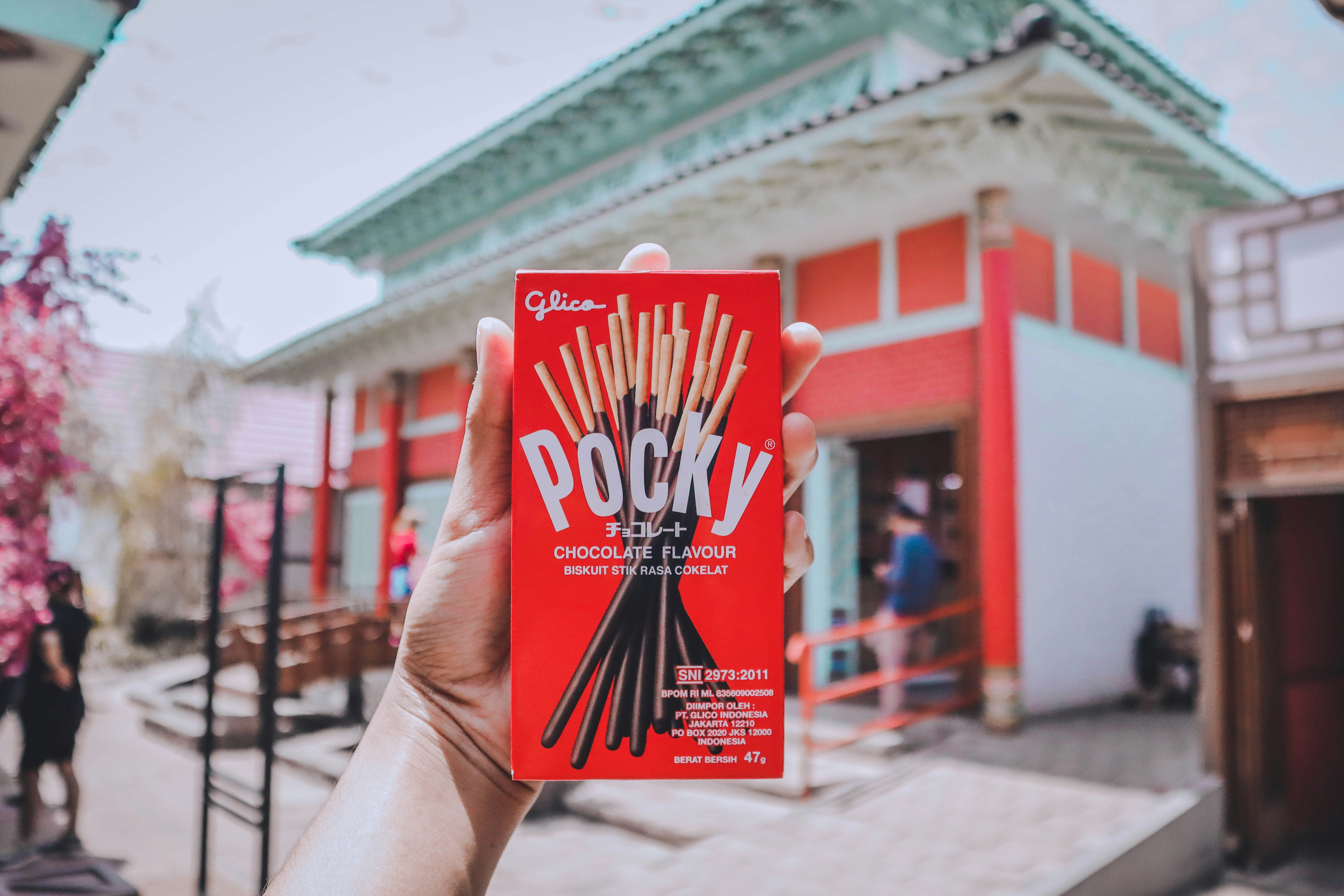 Pocky box photo – Free Human Image on Unsplash