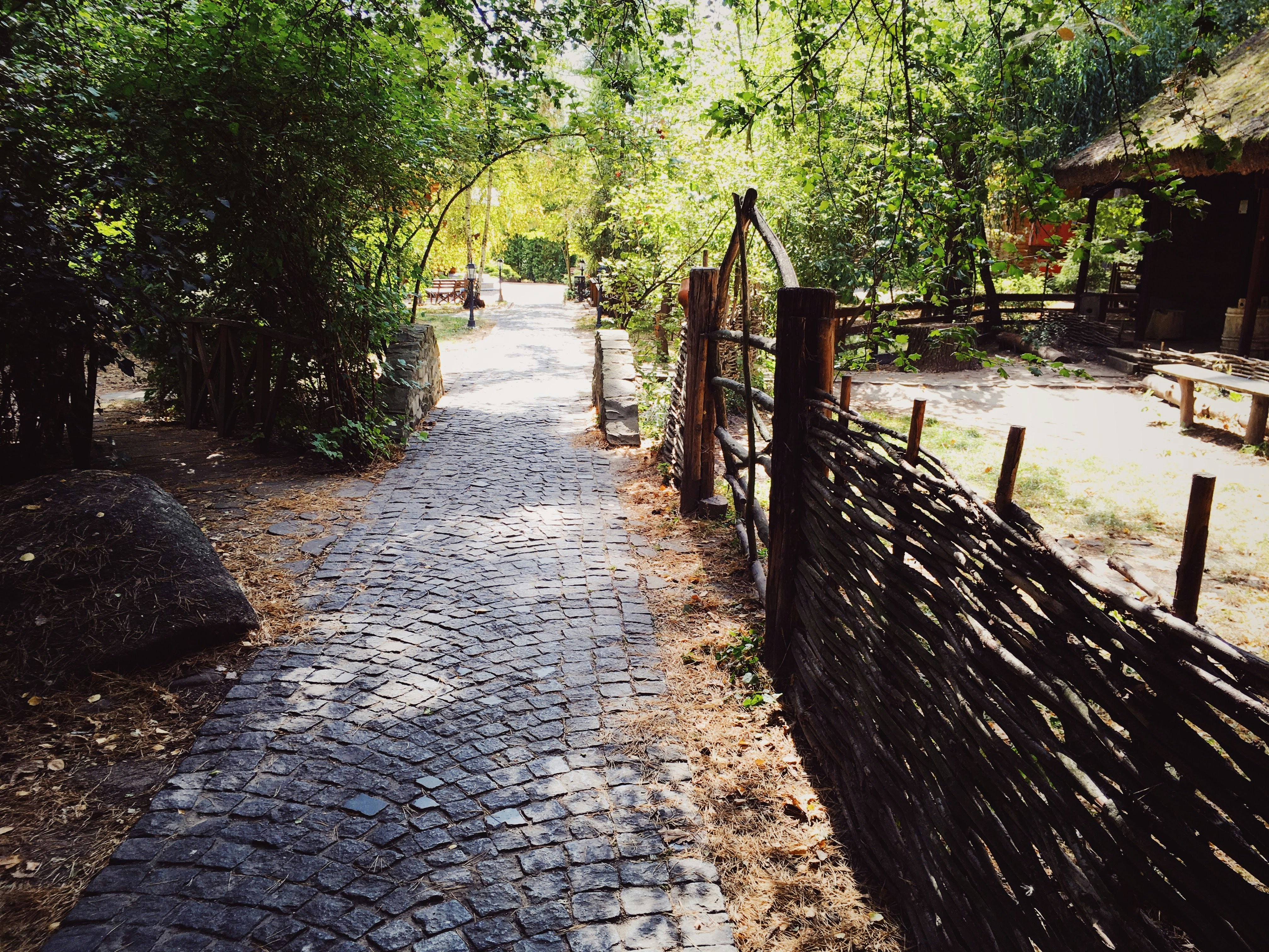 Cobblestone Path Through a Shaded Village Alley