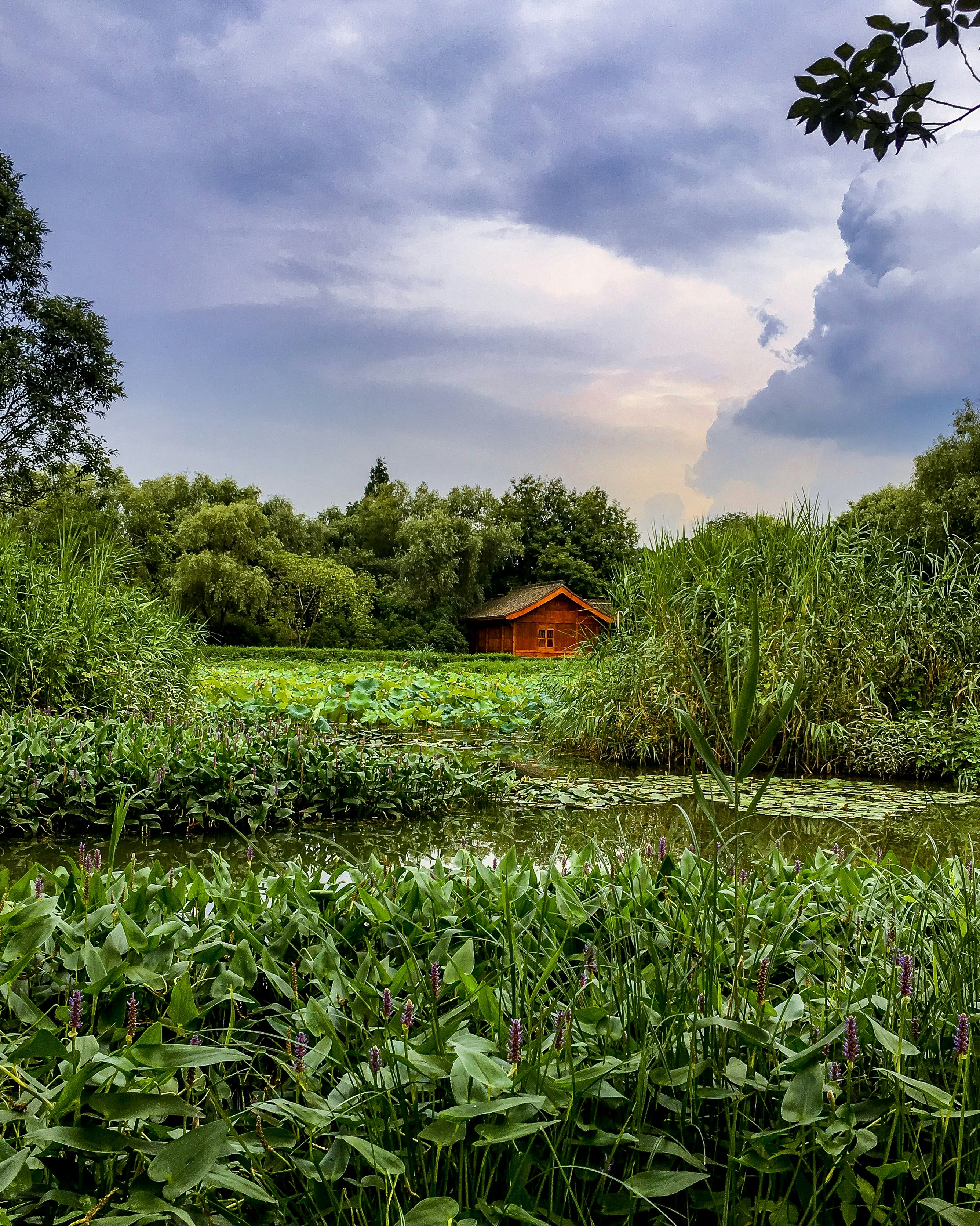 A serene wooden cabin nestled amidst lush greenery and tranquil waters, framed by vibrant aquatic plants and a dramatic sky.