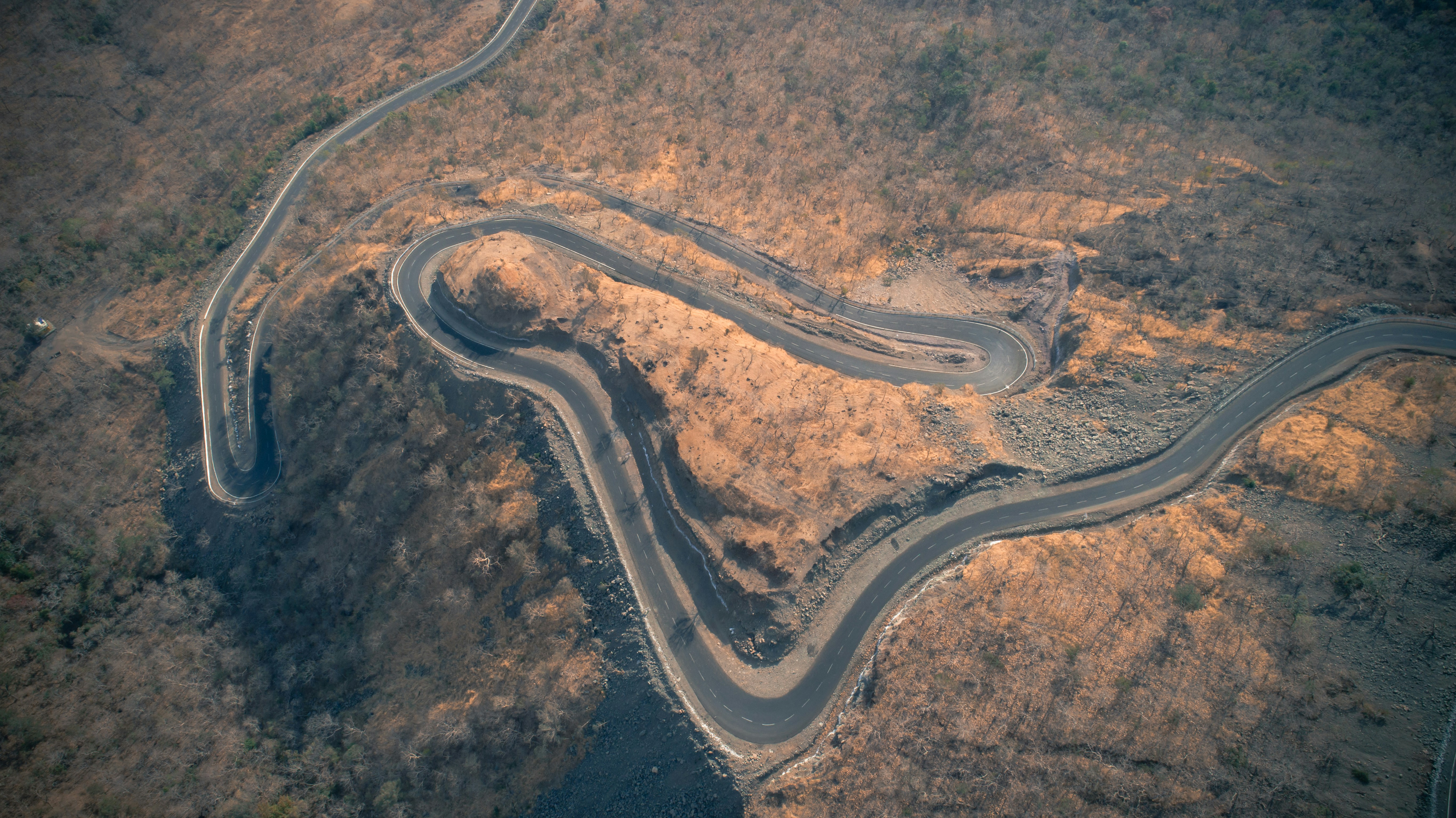 Nature Of India Pictures | Download Free Images on Unsplash
