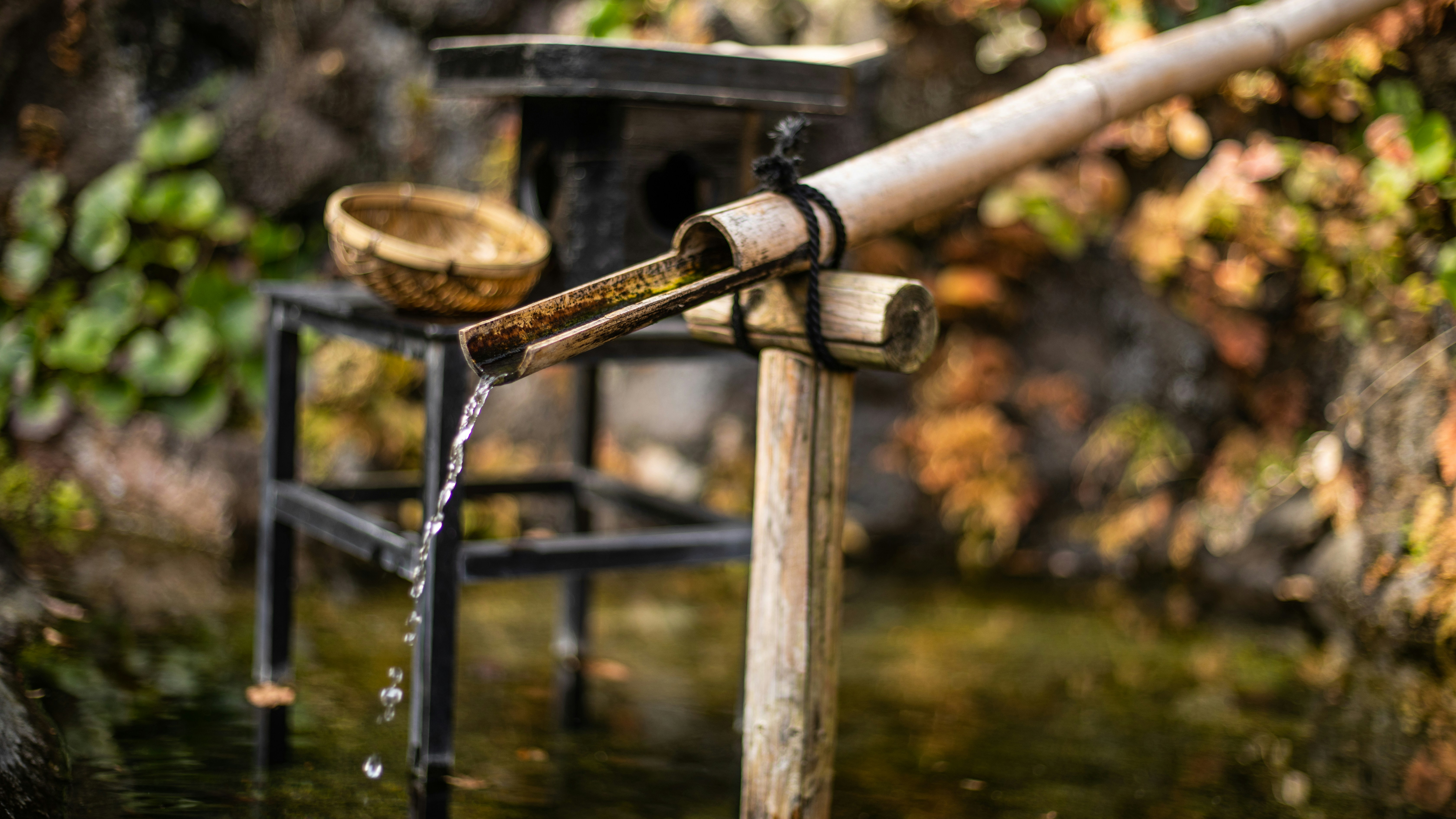 Tokyo Itinerary 5 Days Sample: Efficient Guide To Authentic Tokyo ...