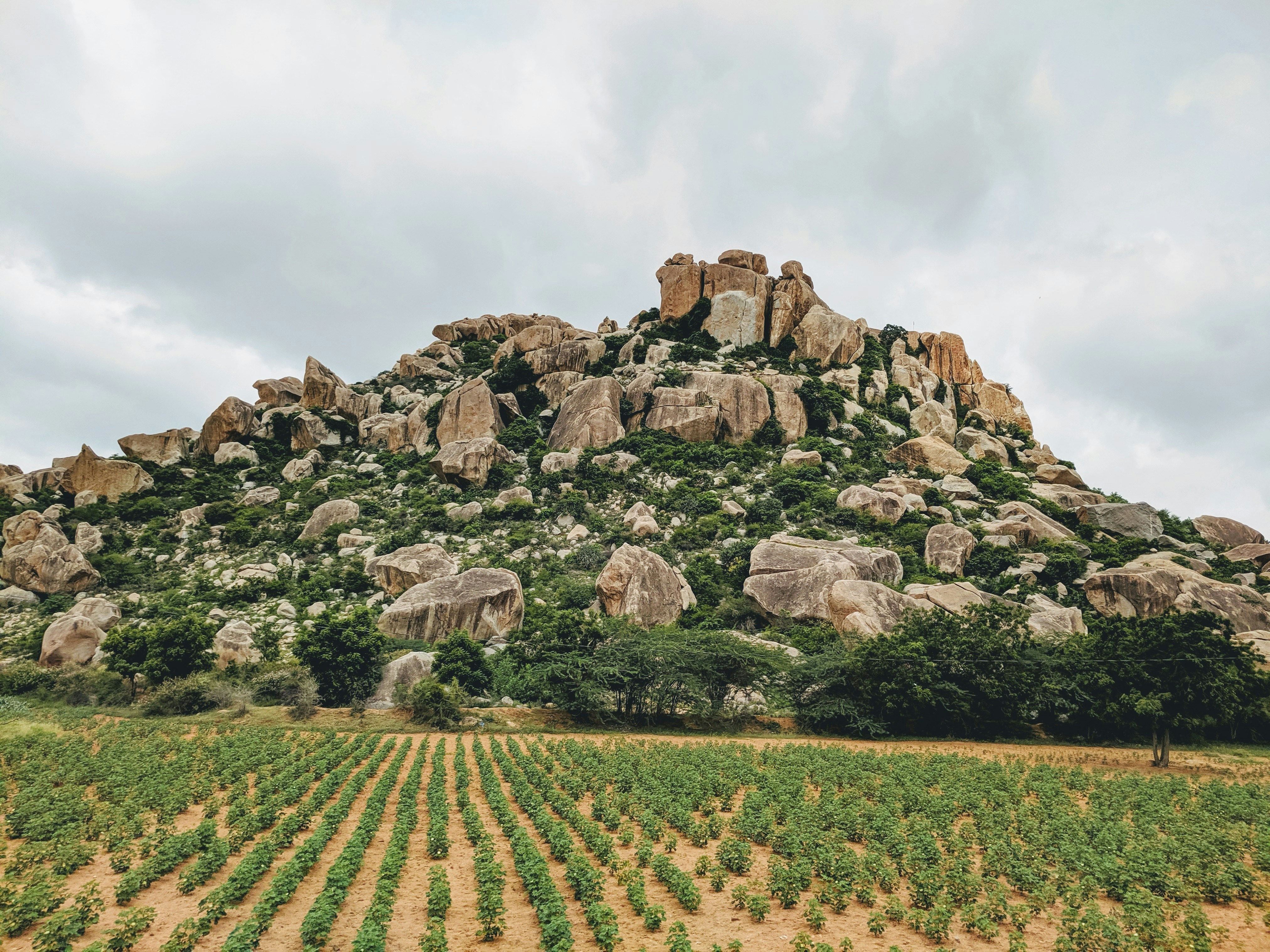 A rugged hill adorned with large granite boulders rises above a lush green field, showcasing the contrast between natural elements. The sky is overcast, adding a dramatic backdrop.