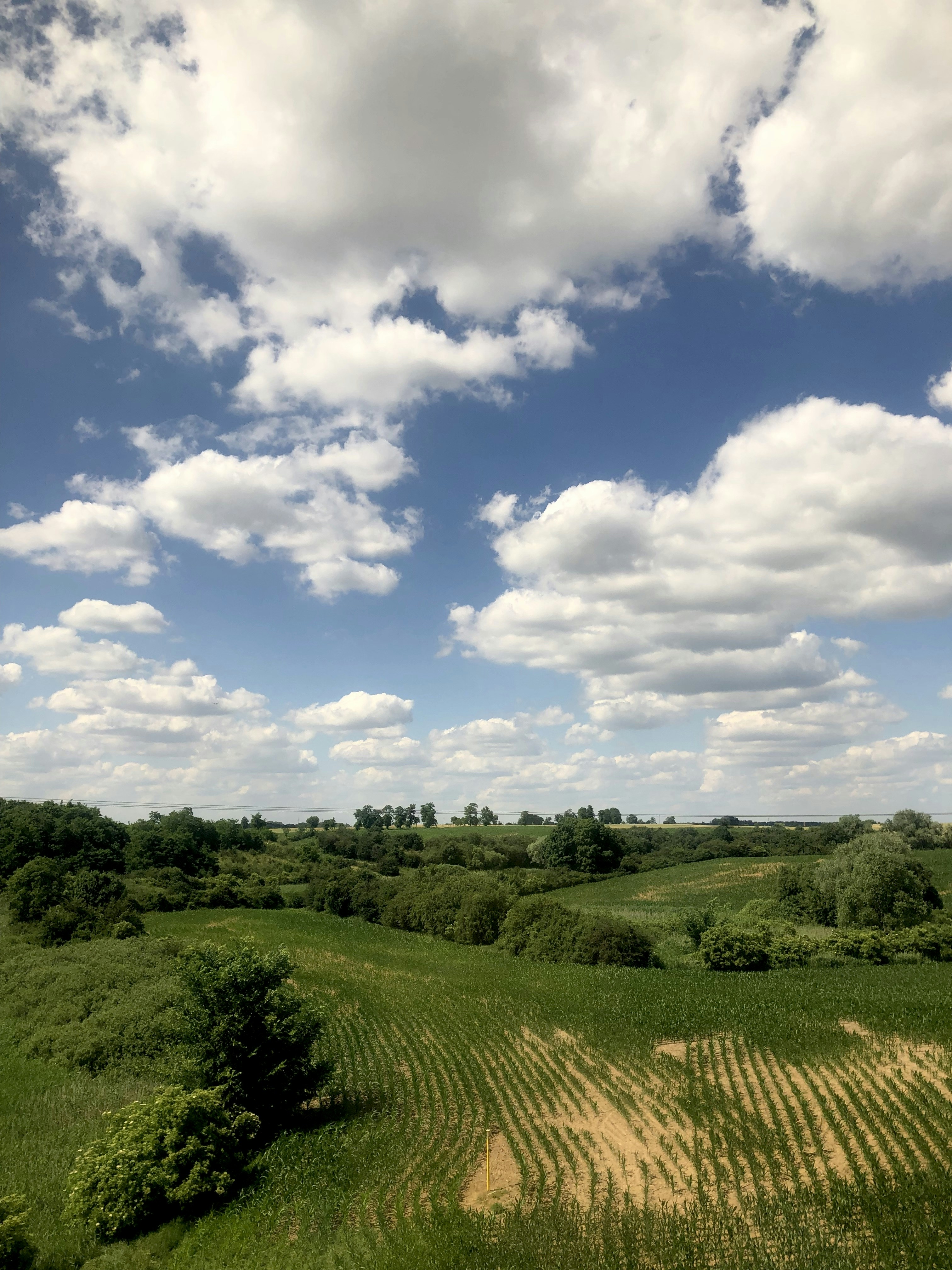 Green grass field photo – Free Nature Image on Unsplash