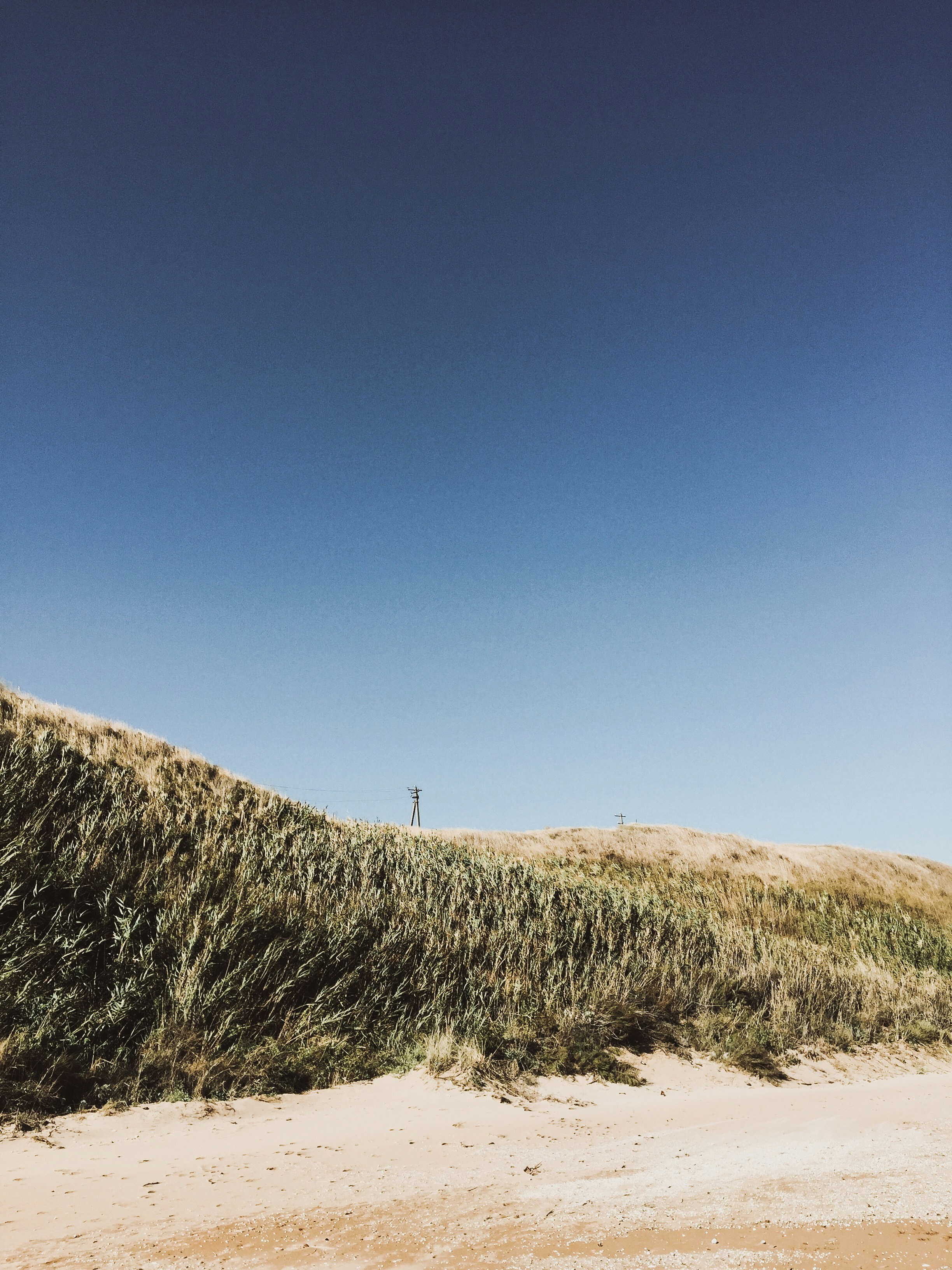 Dune Ridge Under a Pristine Sky, with a Lone Horizon Pole