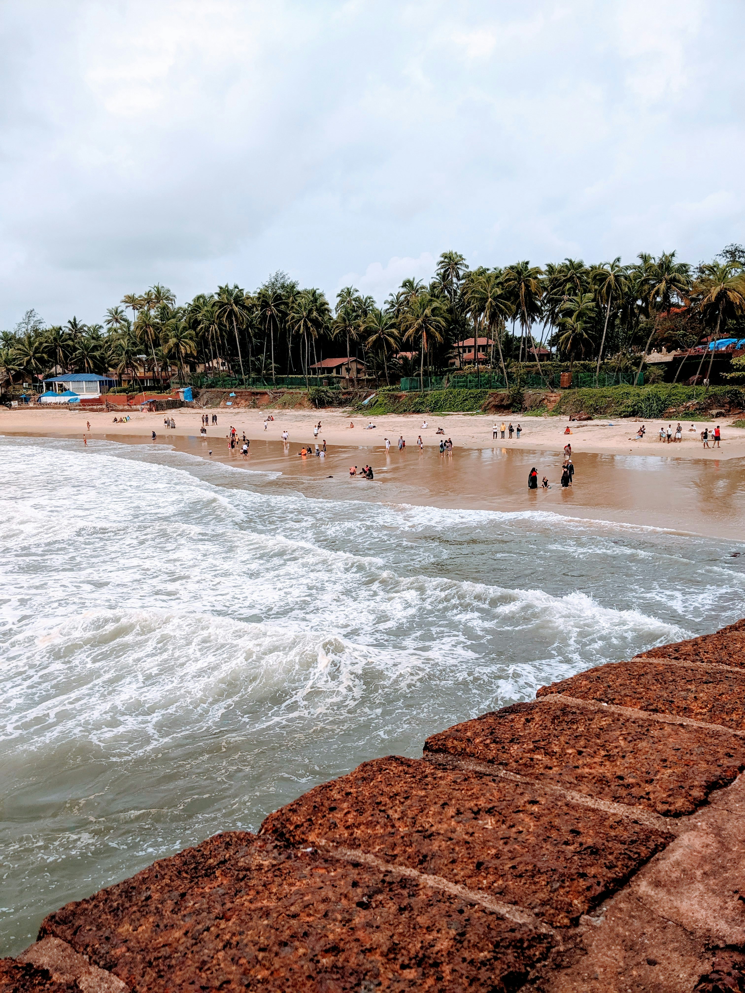 Palm-fringed shoreline and tidal break at a sunlit tropical beach