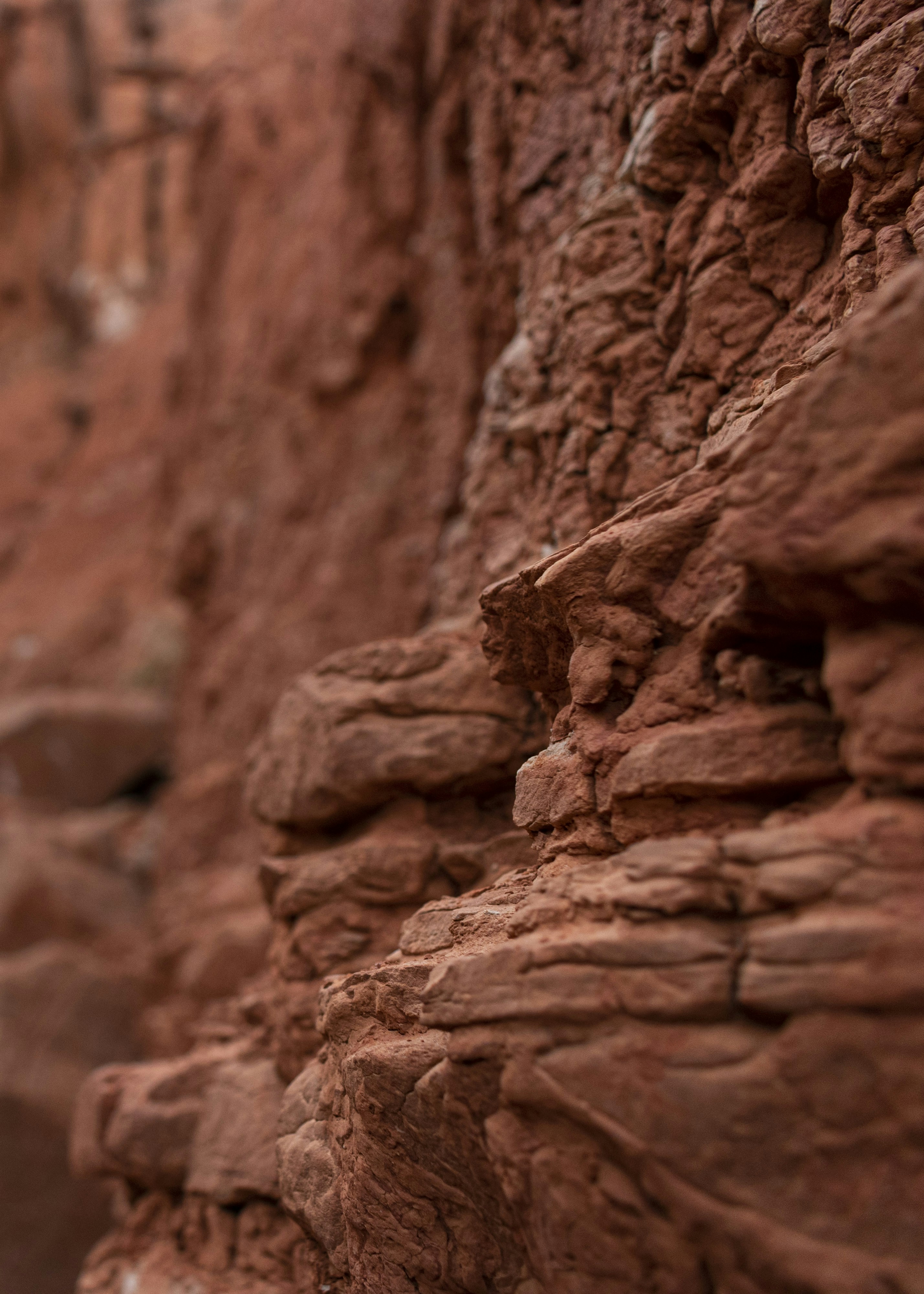 Rugged Red Cliffs: Textured Sediment in Focus