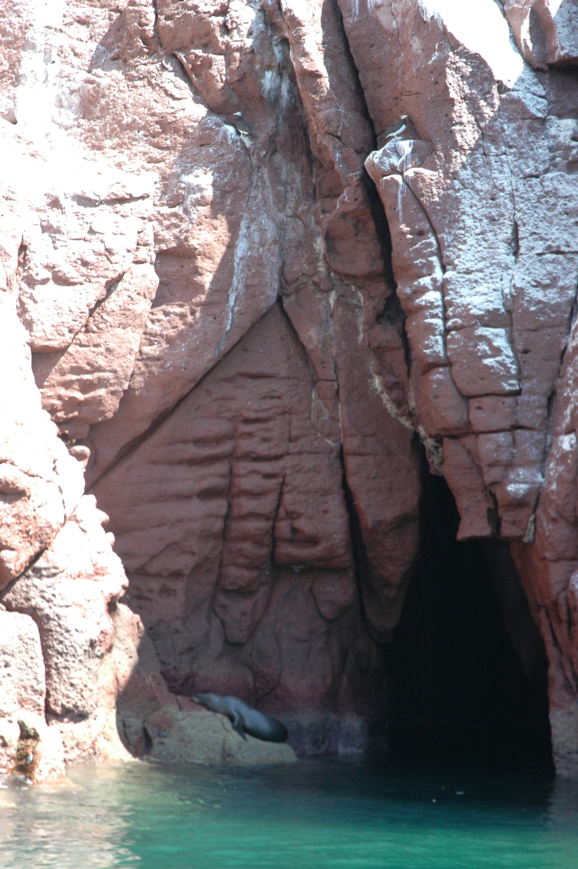 A serene coastal scene featuring rugged red rock formations framing a dark cave entrance, with a sea lion resting on the shore.