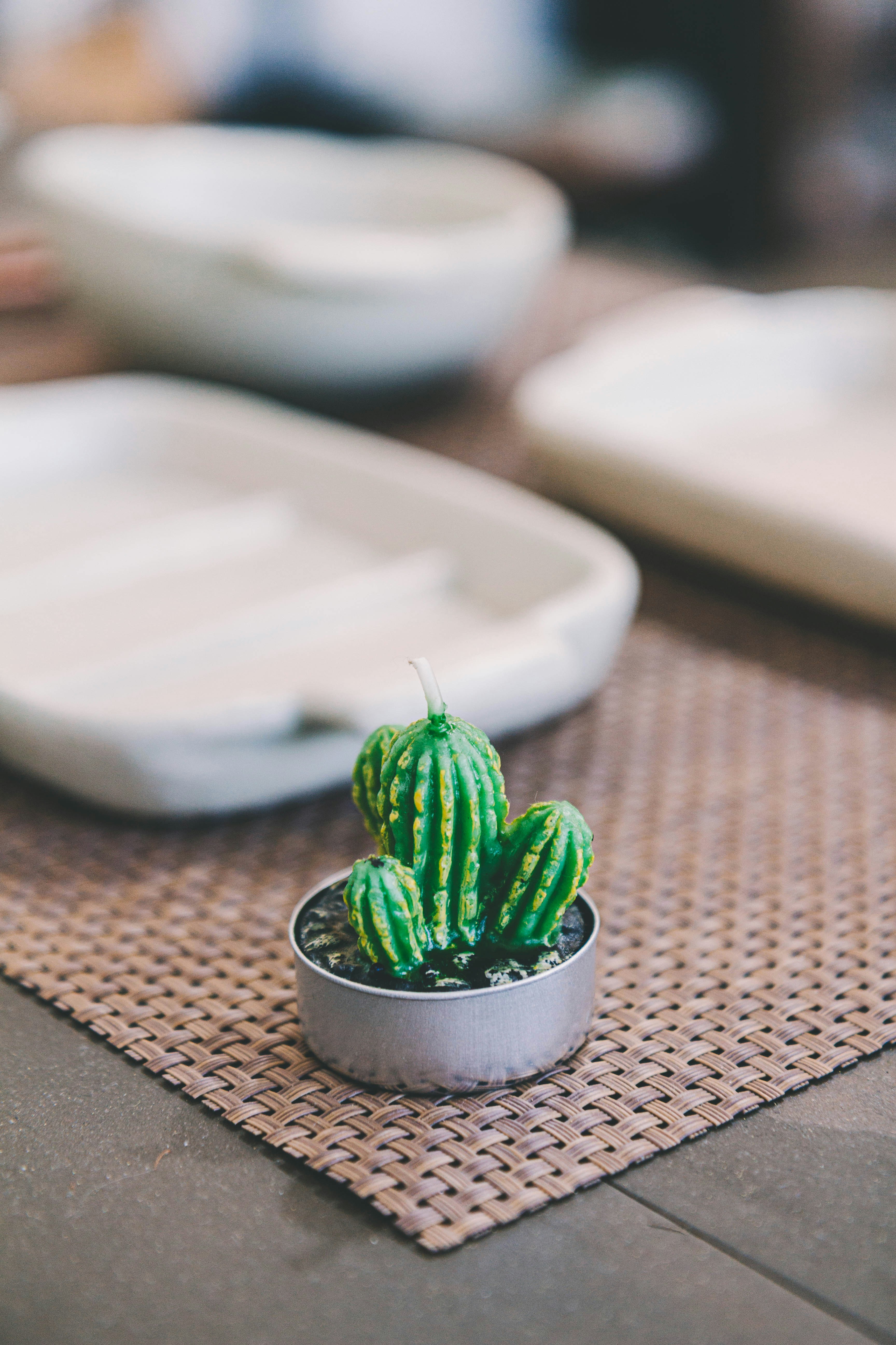 Miniature Green Cactus in a Metal Pot on a Textured Mat