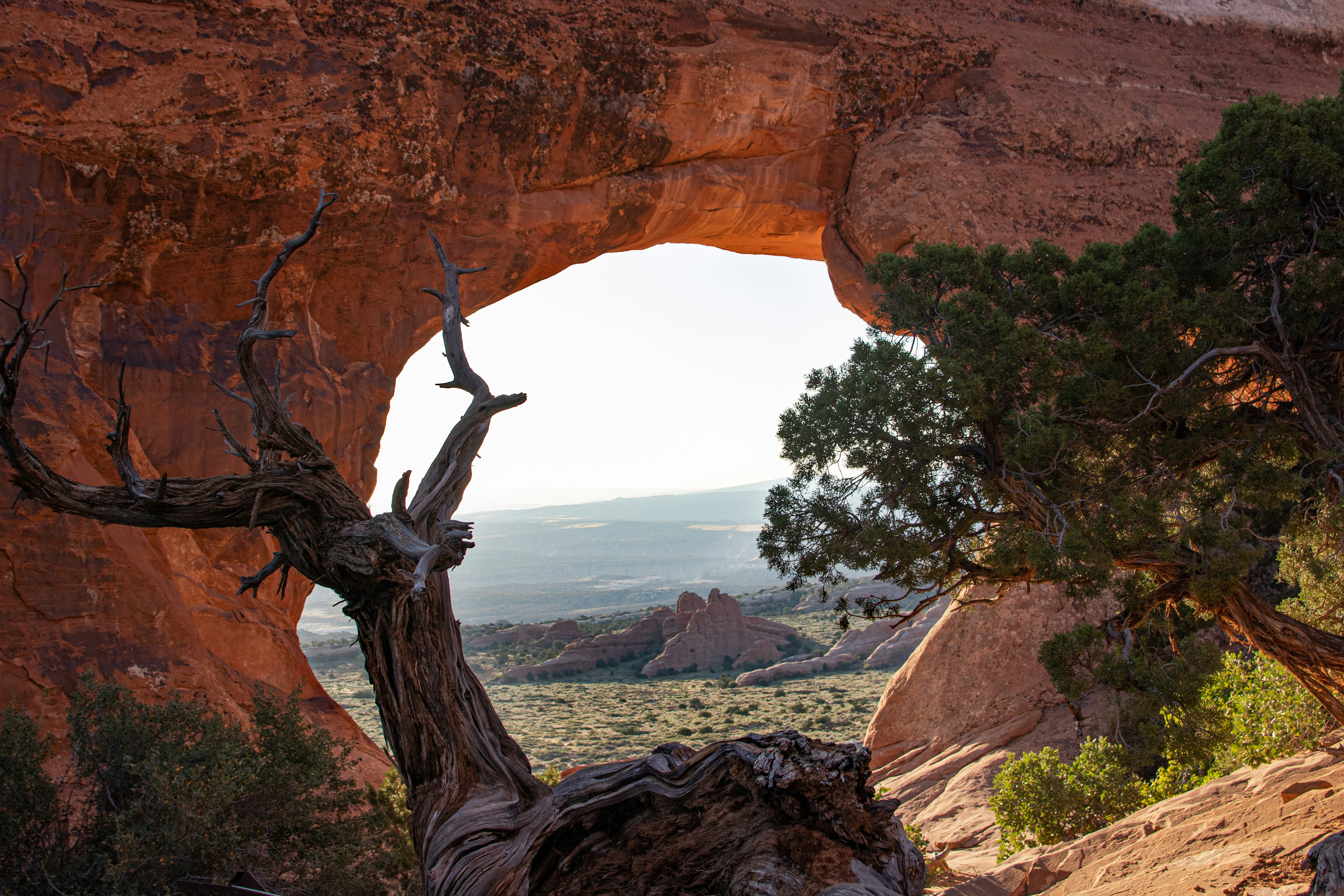 Desert Archway Framing Nature's Canvas