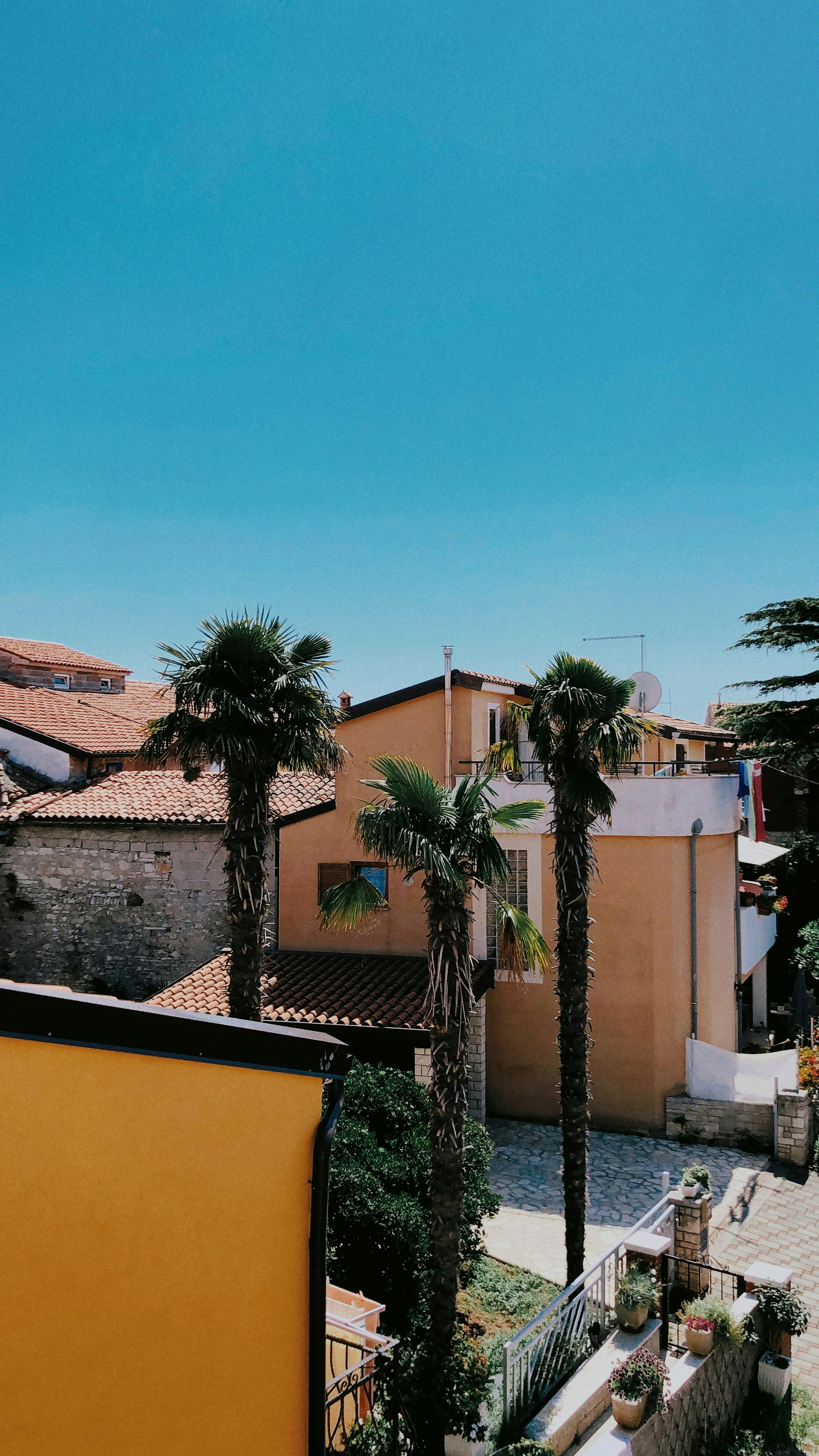 Vibrant yellow building with palm trees surrounded by terracotta rooftops under a clear blue sky.