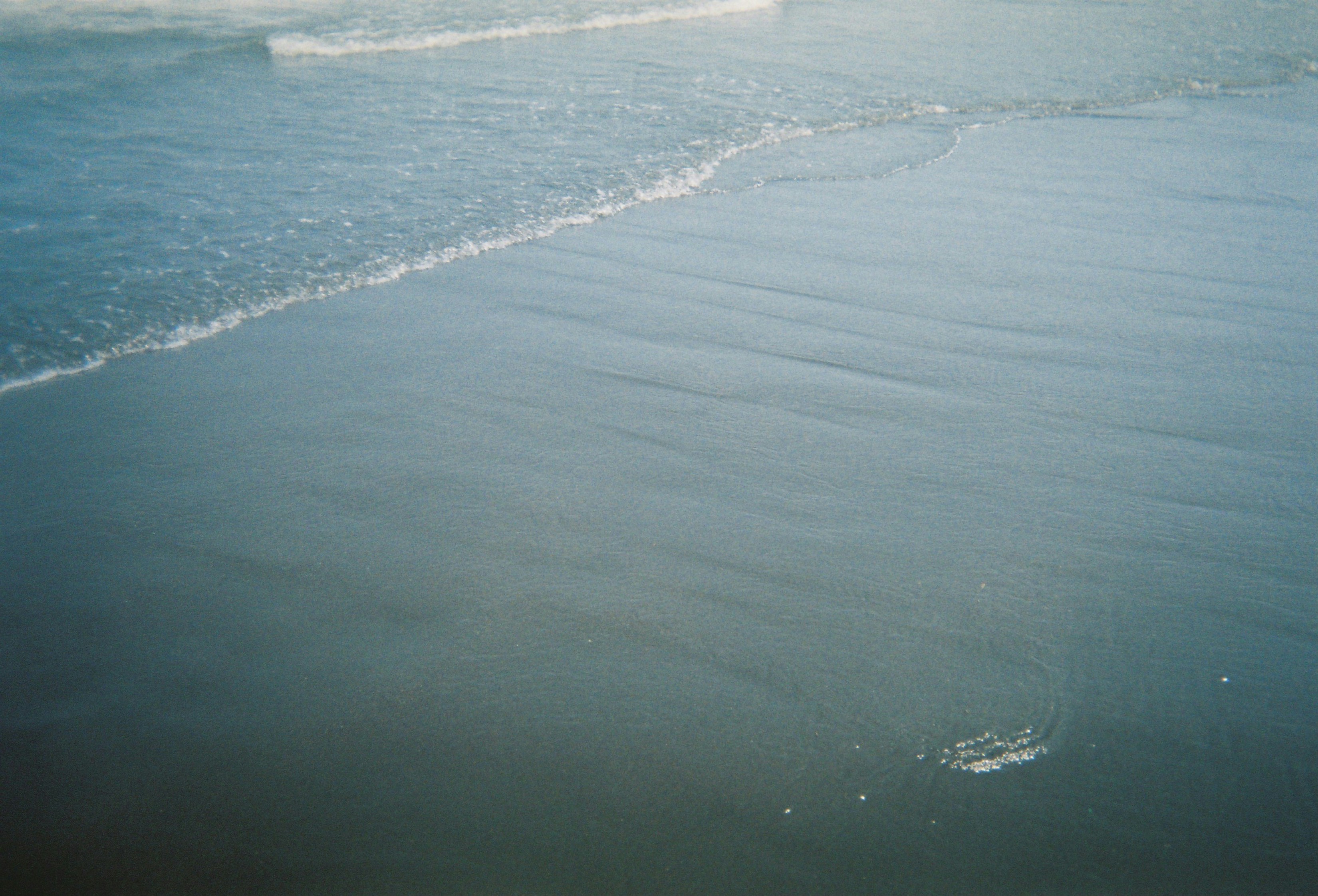 Best 500+ Noon Pictures | Download Free Images on Unsplash