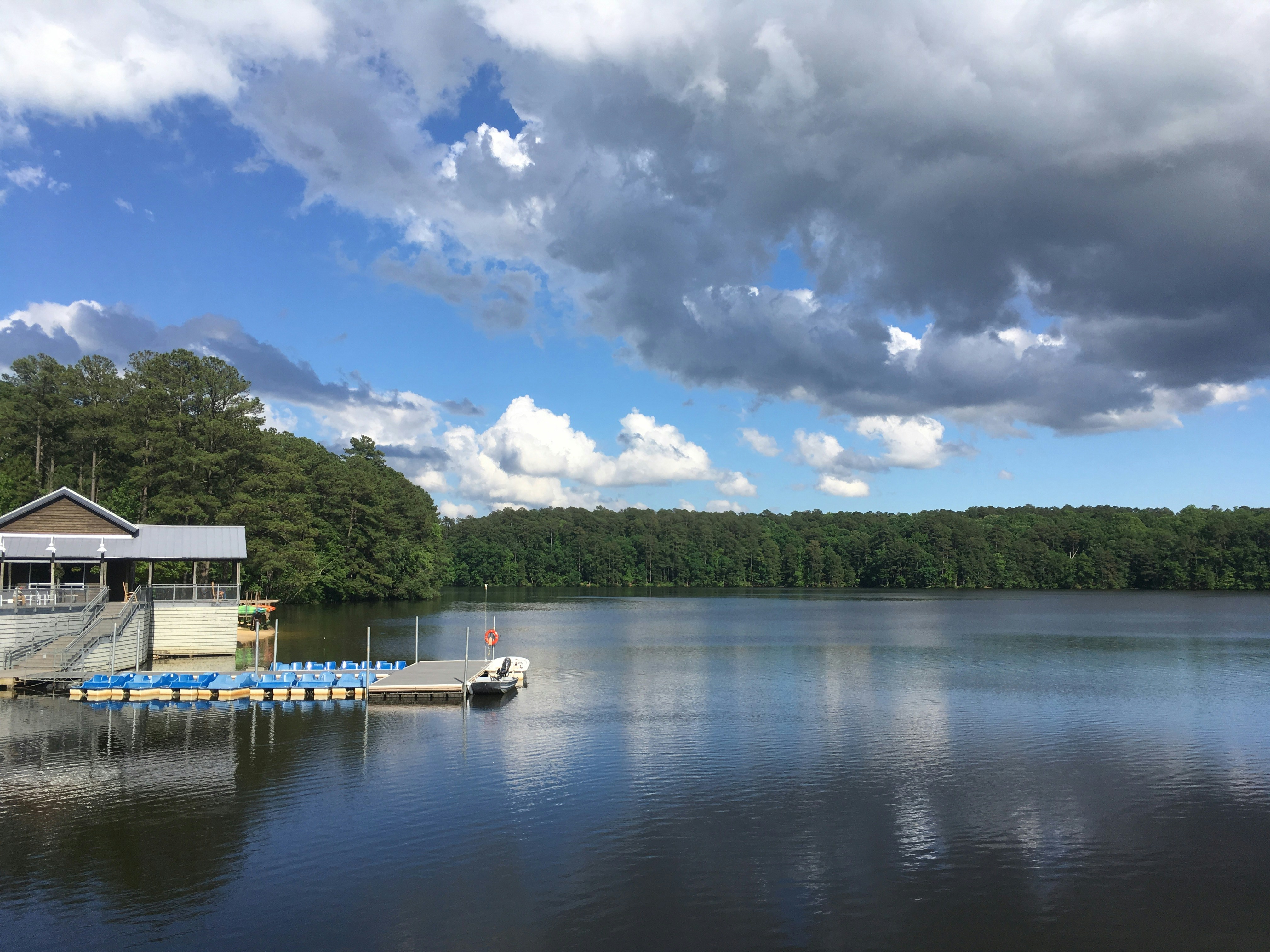 Dockside Quietude: A Lake Scene with Pines, Sky, and a Distant Horizon
