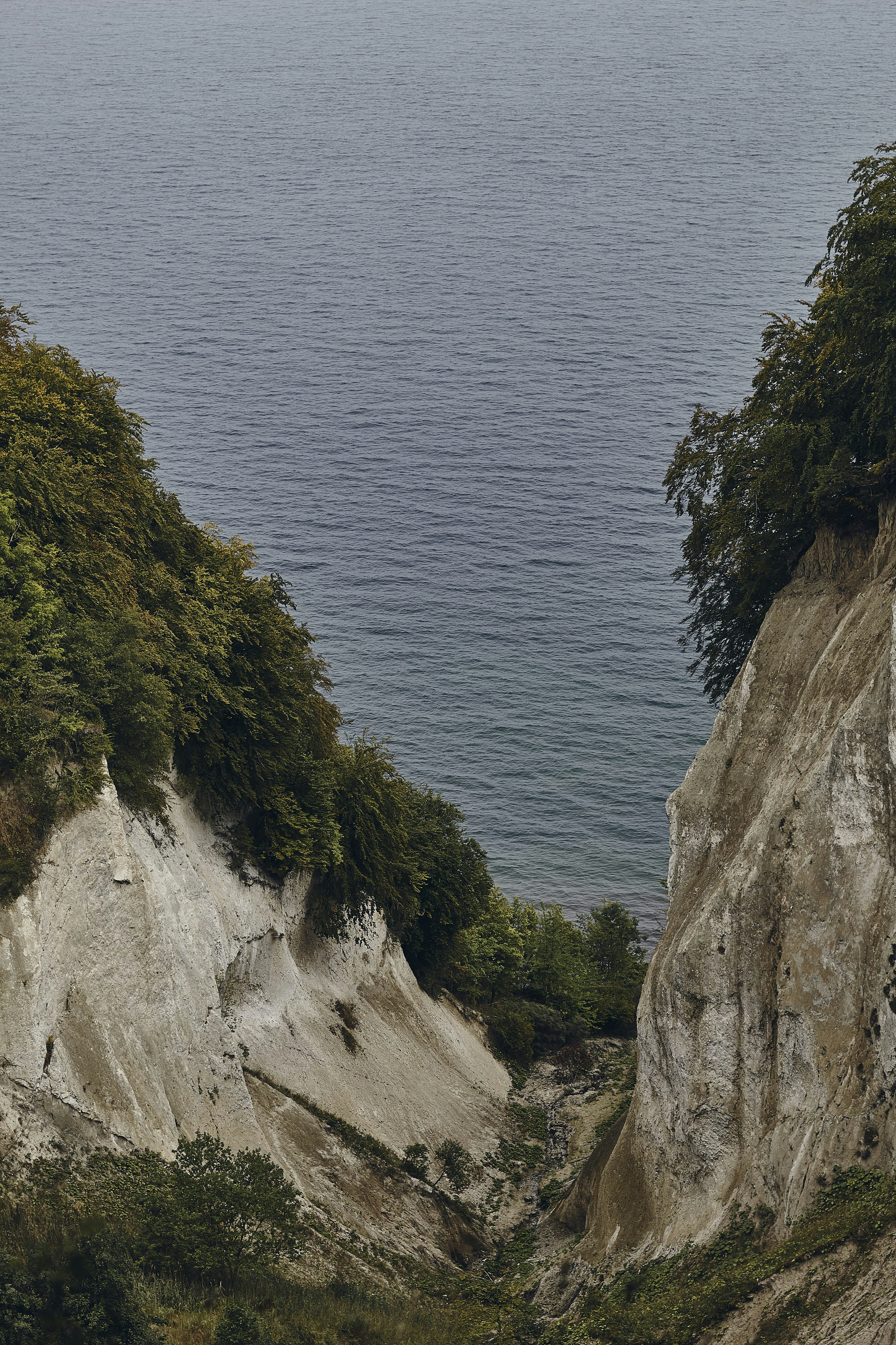 aerial view of sea
