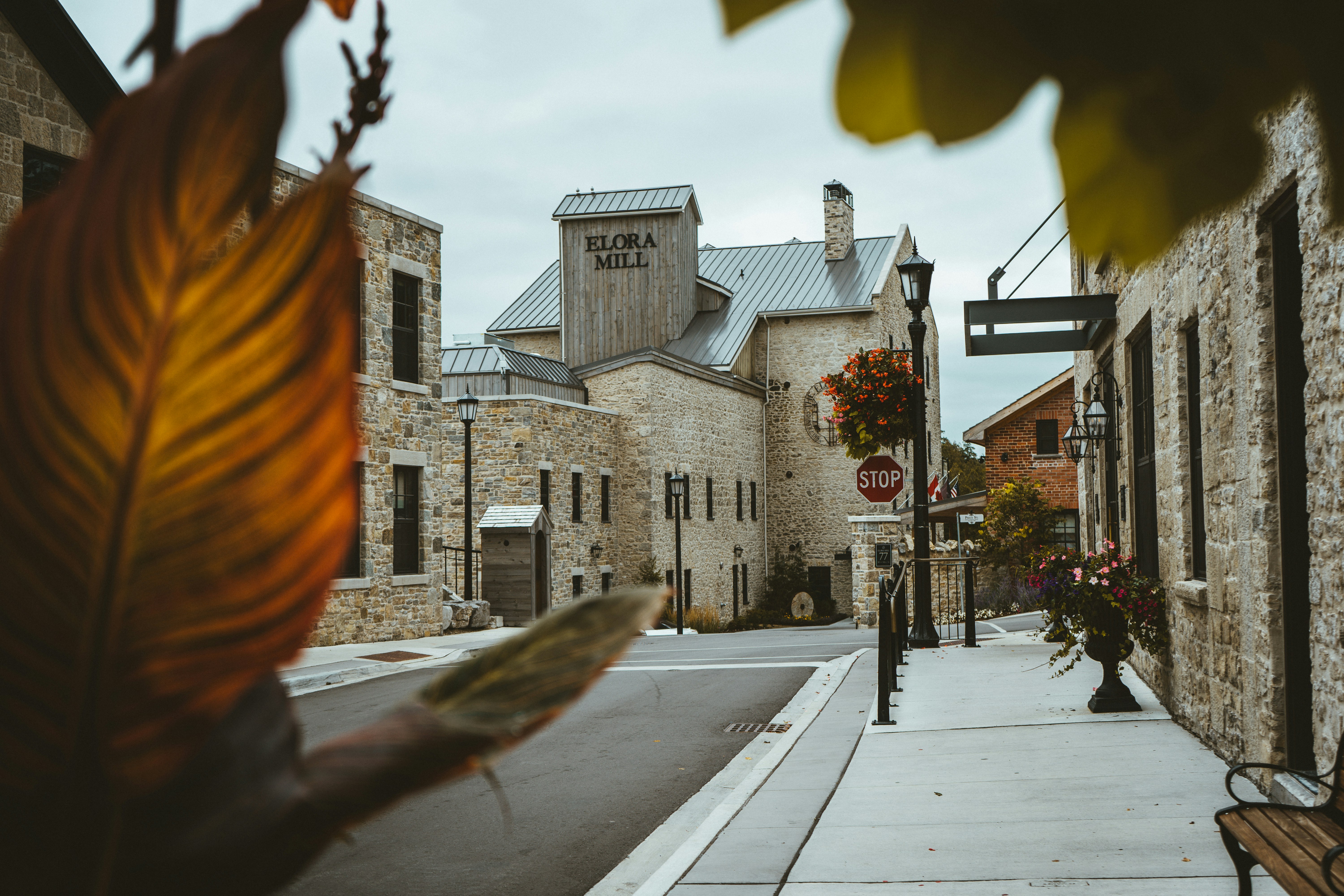 Autumn Light on Elora Street: The Stone Mill at the Street's Quiet End