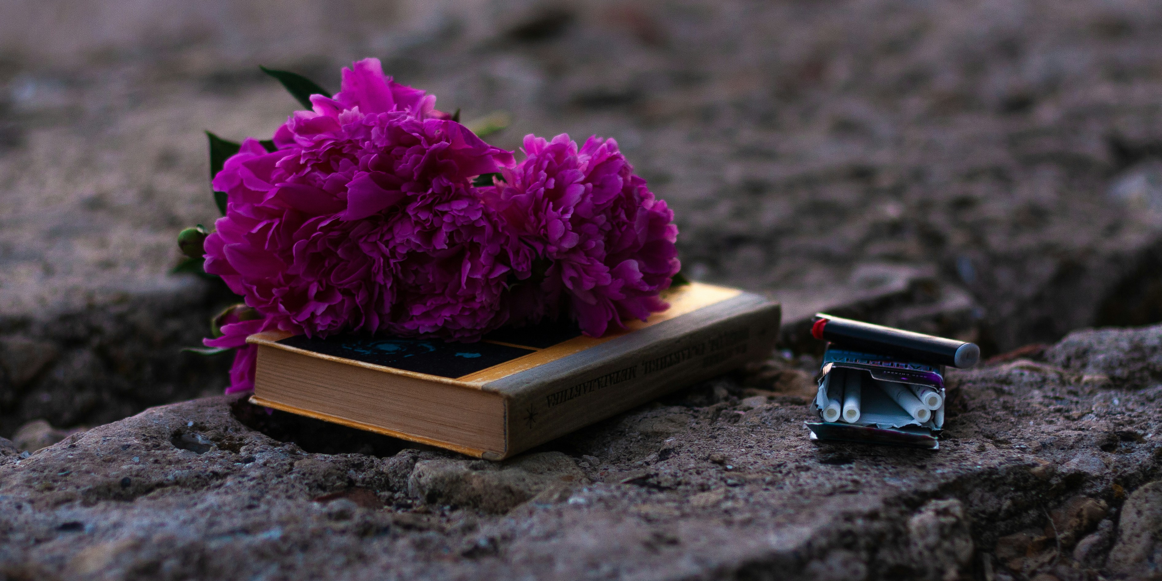 Violet Bloom, Weathered Tome, and a Glinting Razor on Rough Stone
