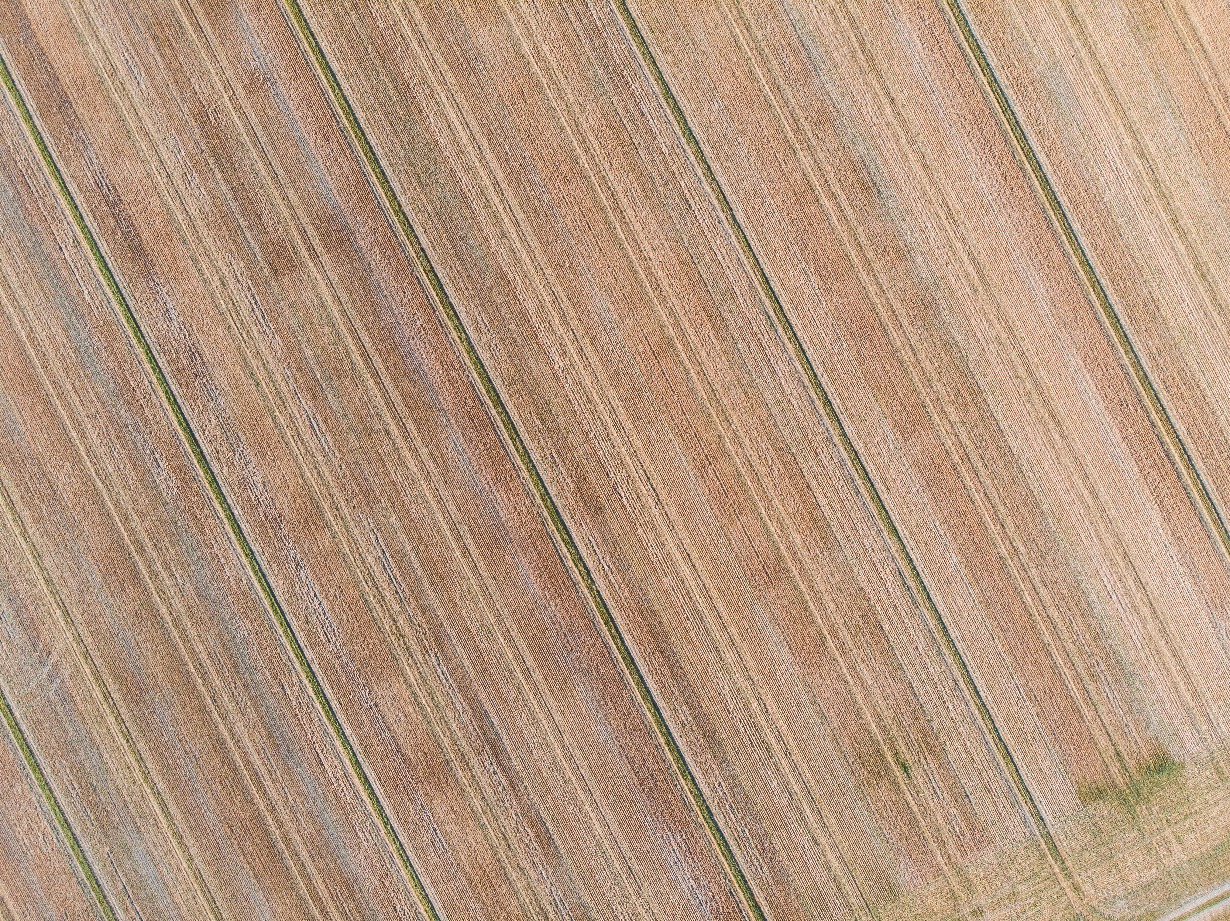 Aerial view of agricultural fields showcasing intricate patterns of tilled earth and crop rows. The composition highlights the geometric beauty of farmland.