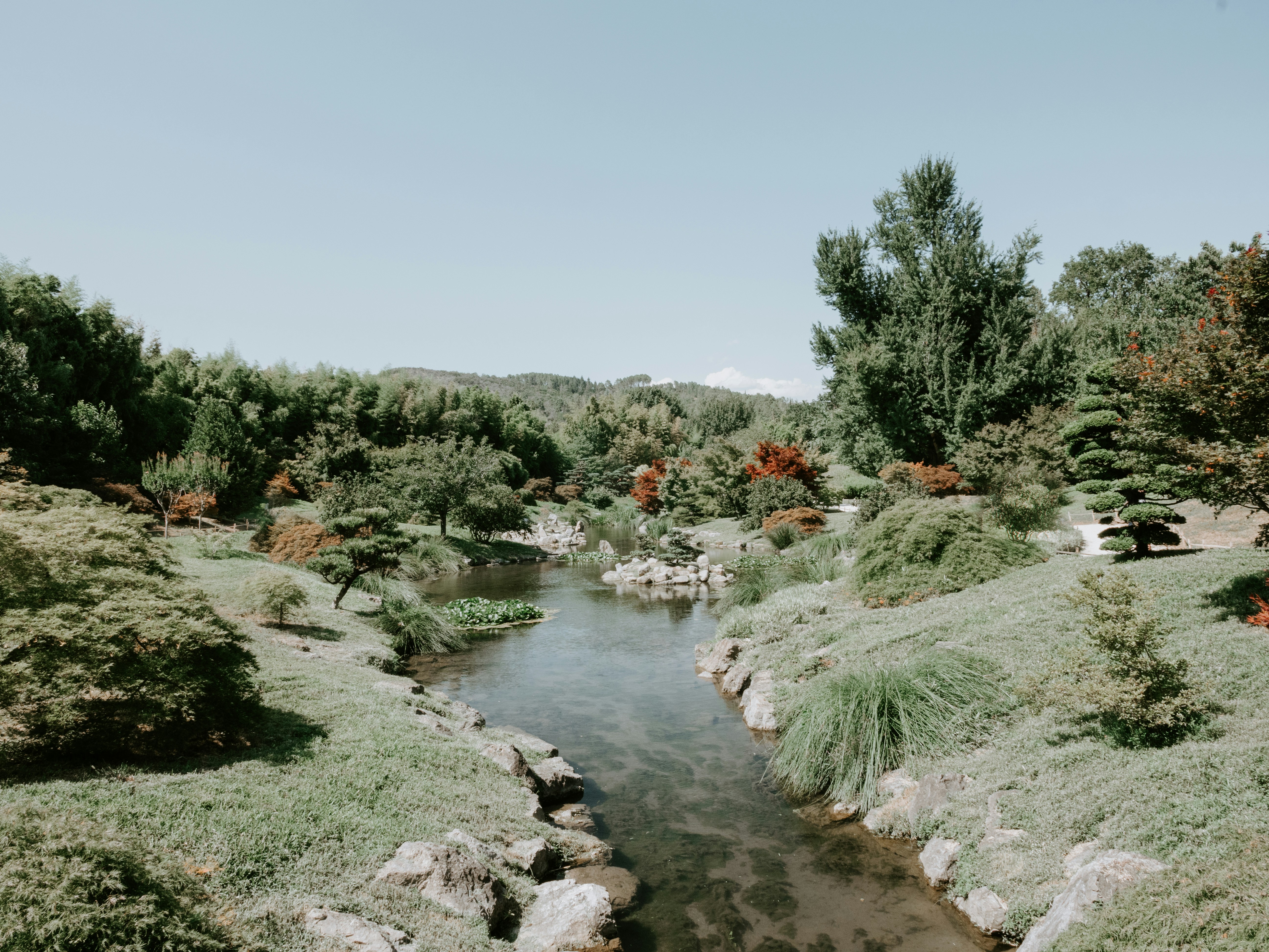Meandering Stream Through a Japanese-Style Garden of Rocks and Pines