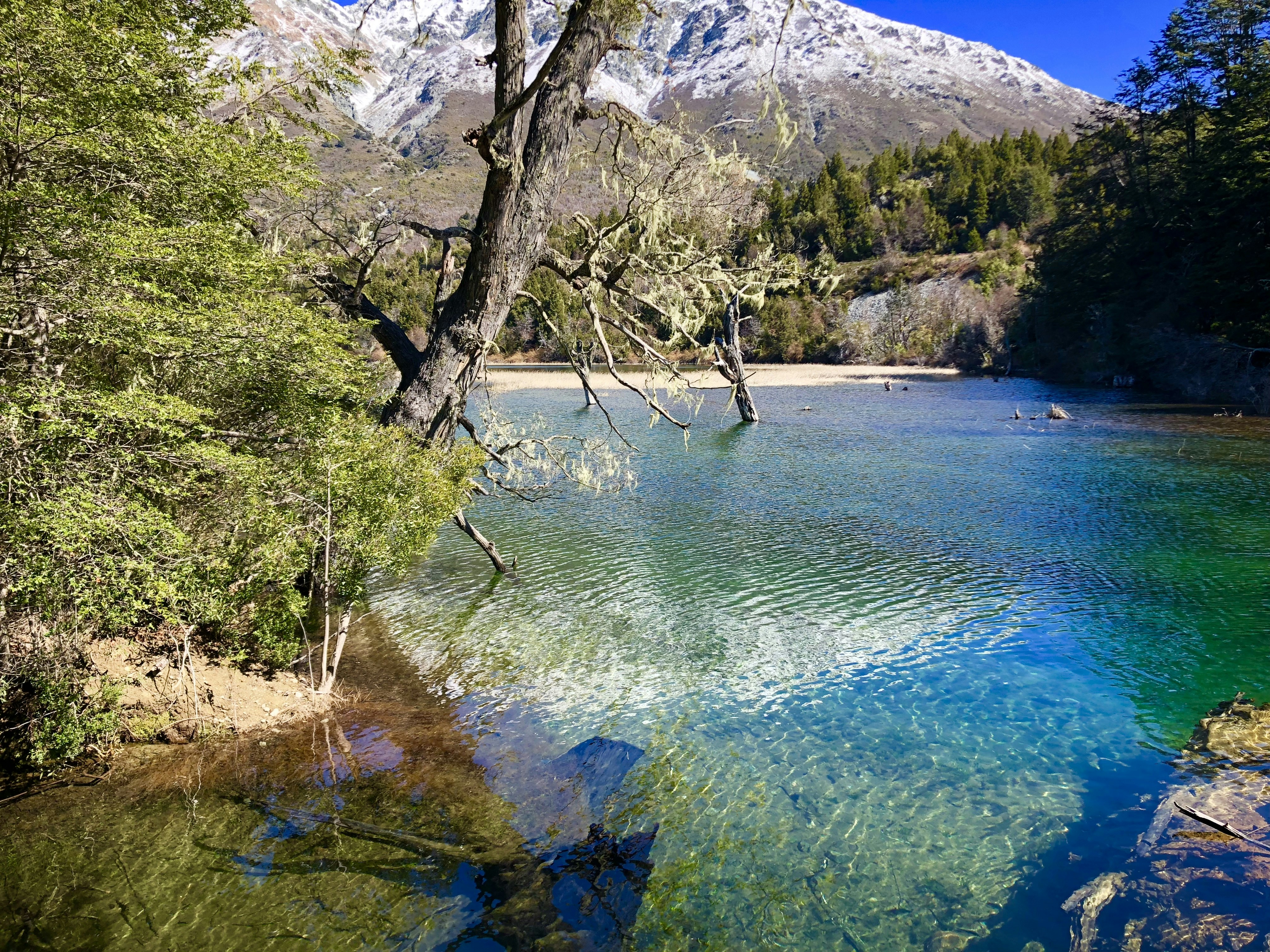 Crystal-clear lake reflecting the surrounding mountains and trees under a bright blue sky.