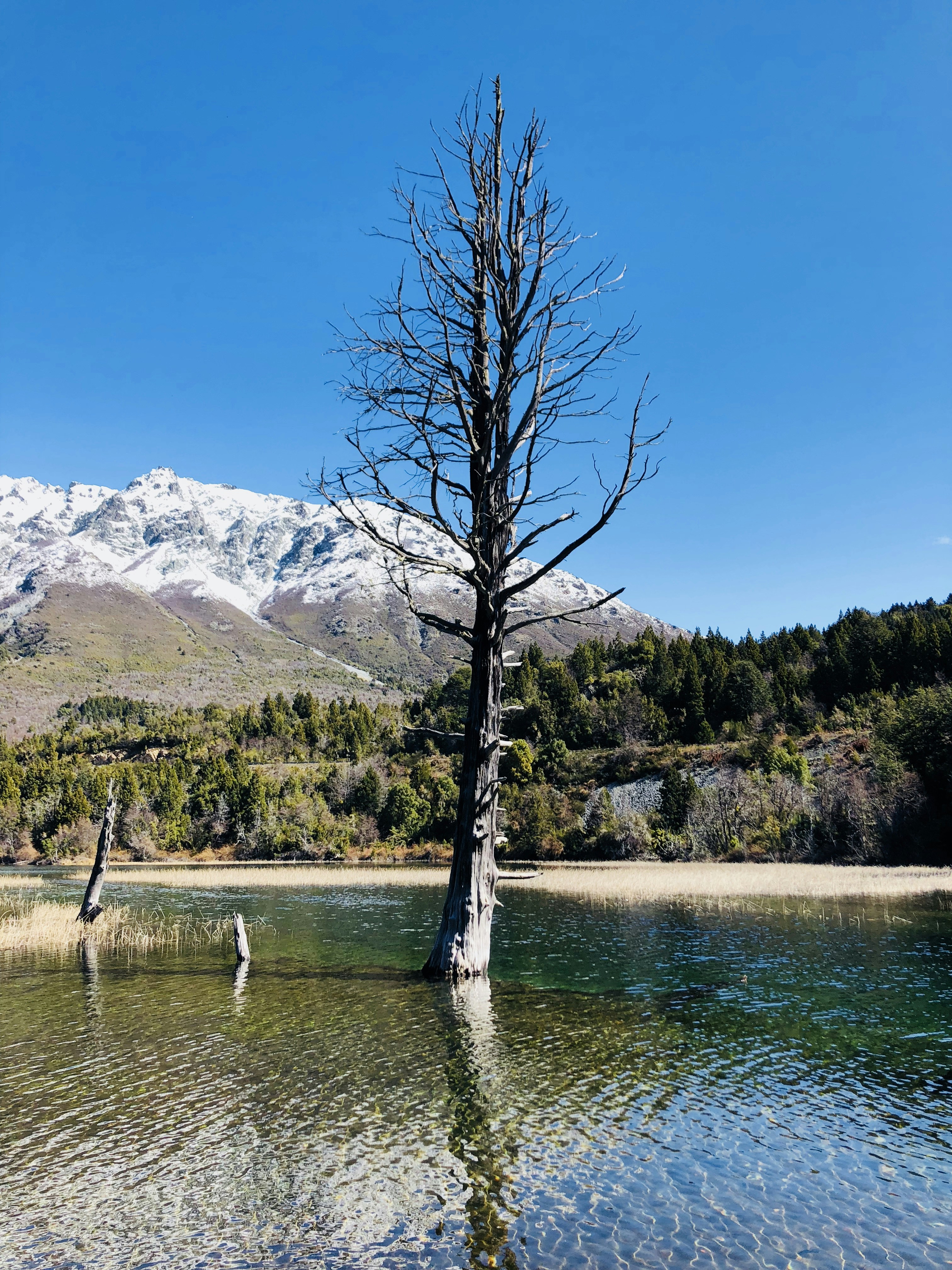  Surrounding of bariloche Argentina 