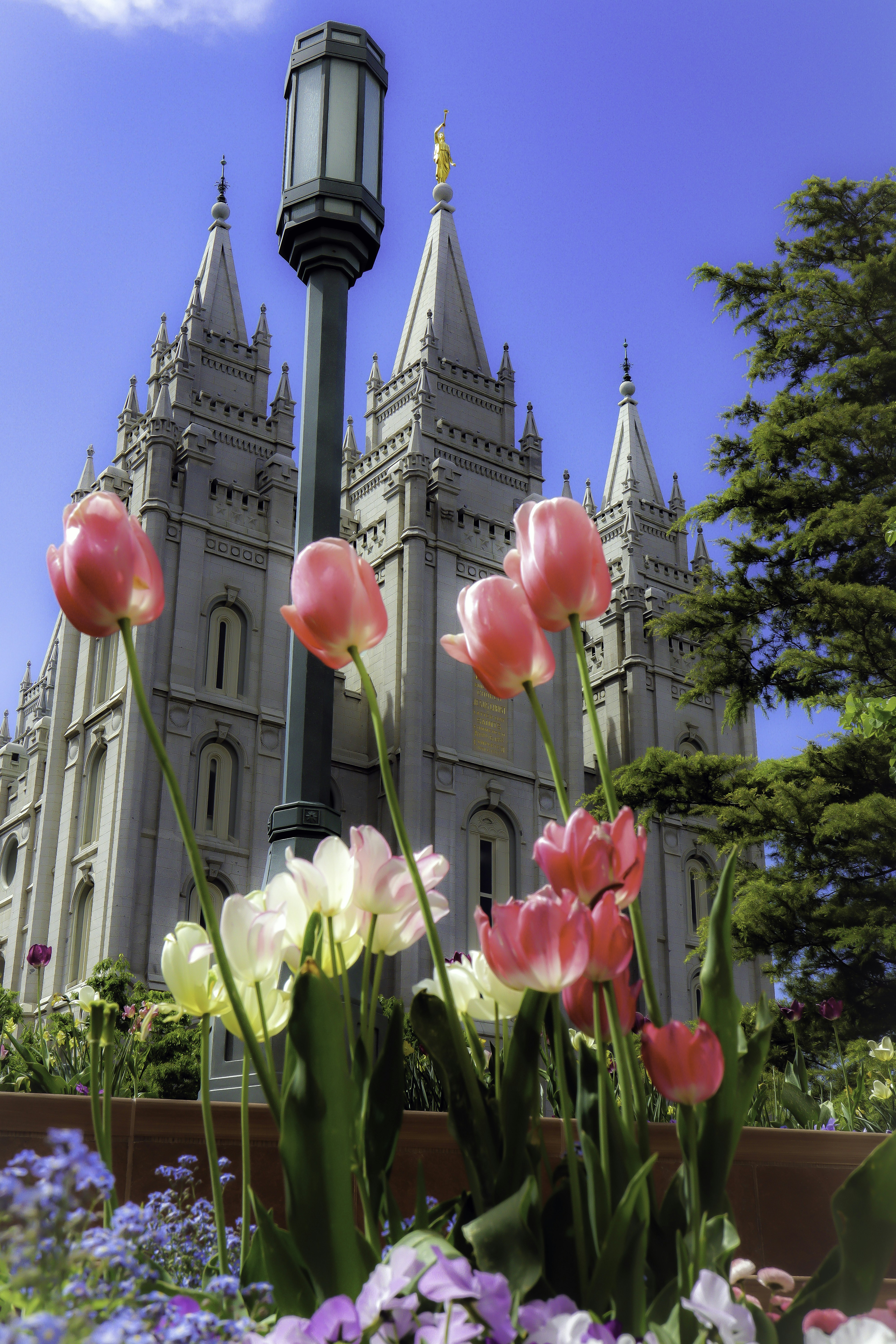 Lds Temple Iphone Wallpapers