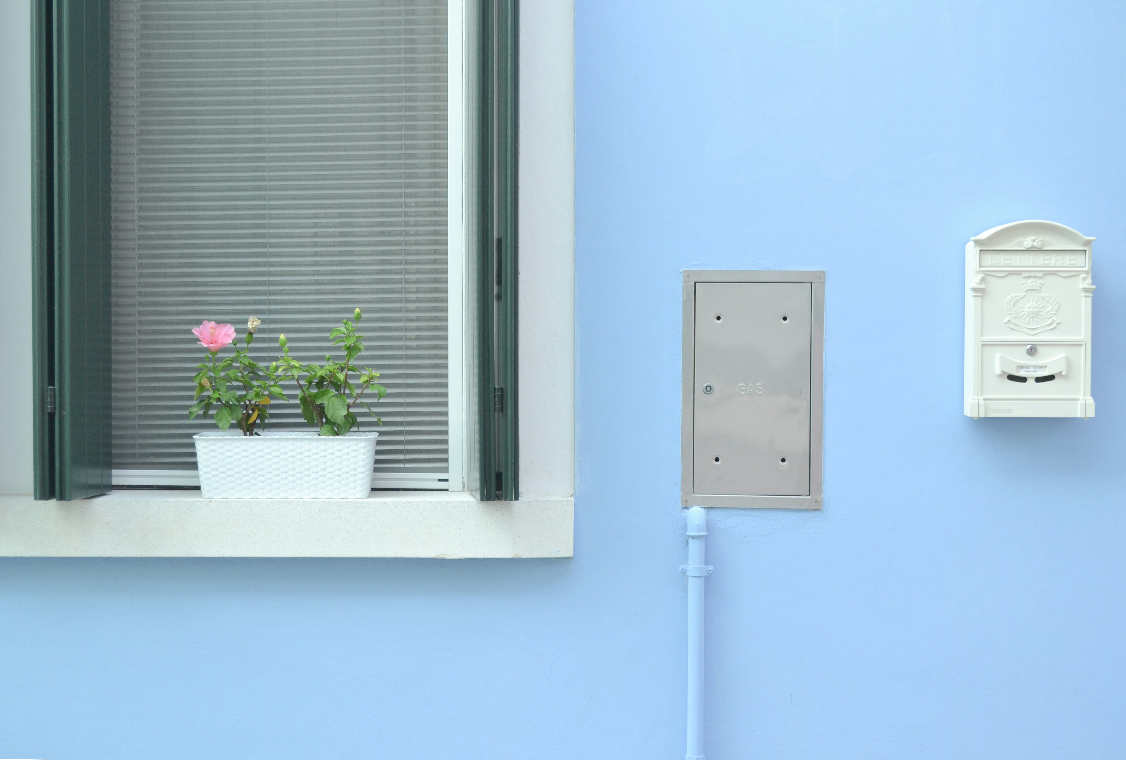 Serenity in Pastel: A Window into Tranquility
