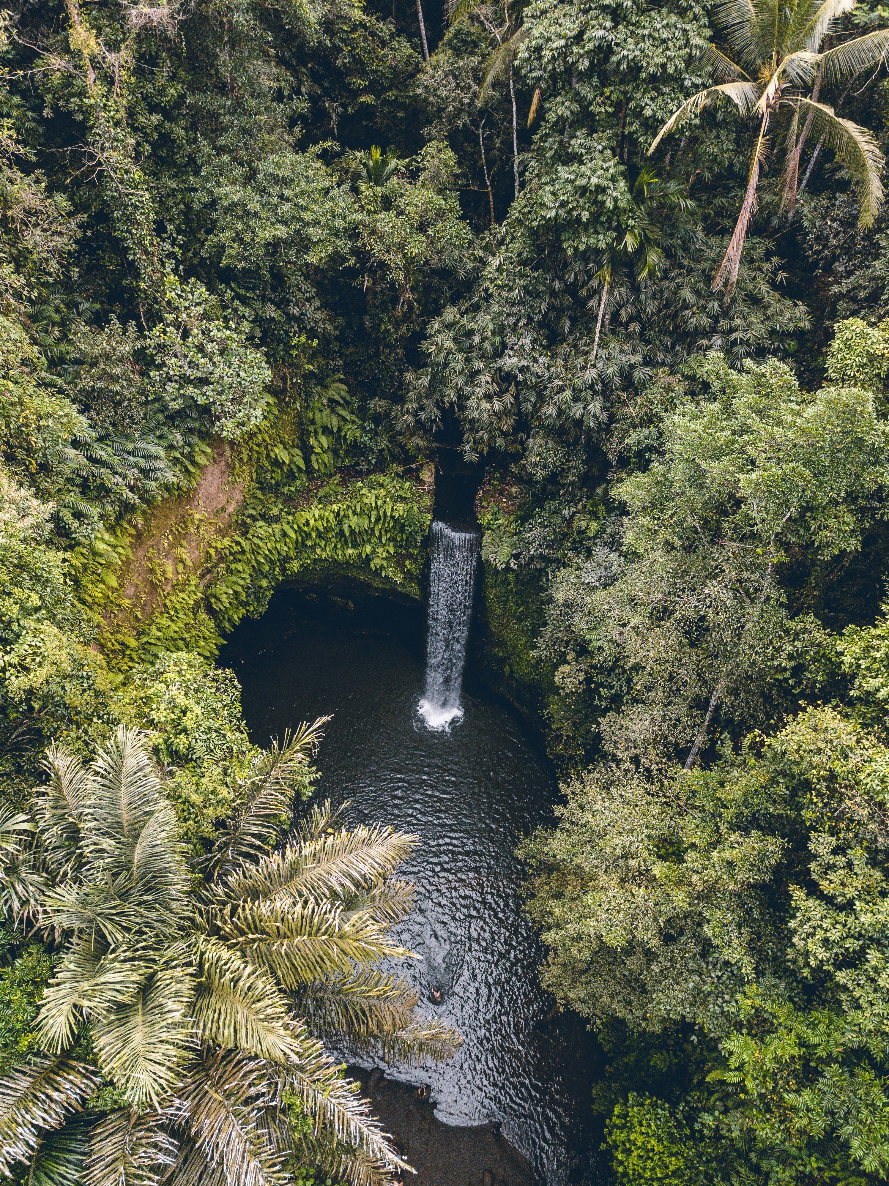 A serene waterfall cascading into a tranquil pool, surrounded by lush tropical vegetation and vibrant greenery.