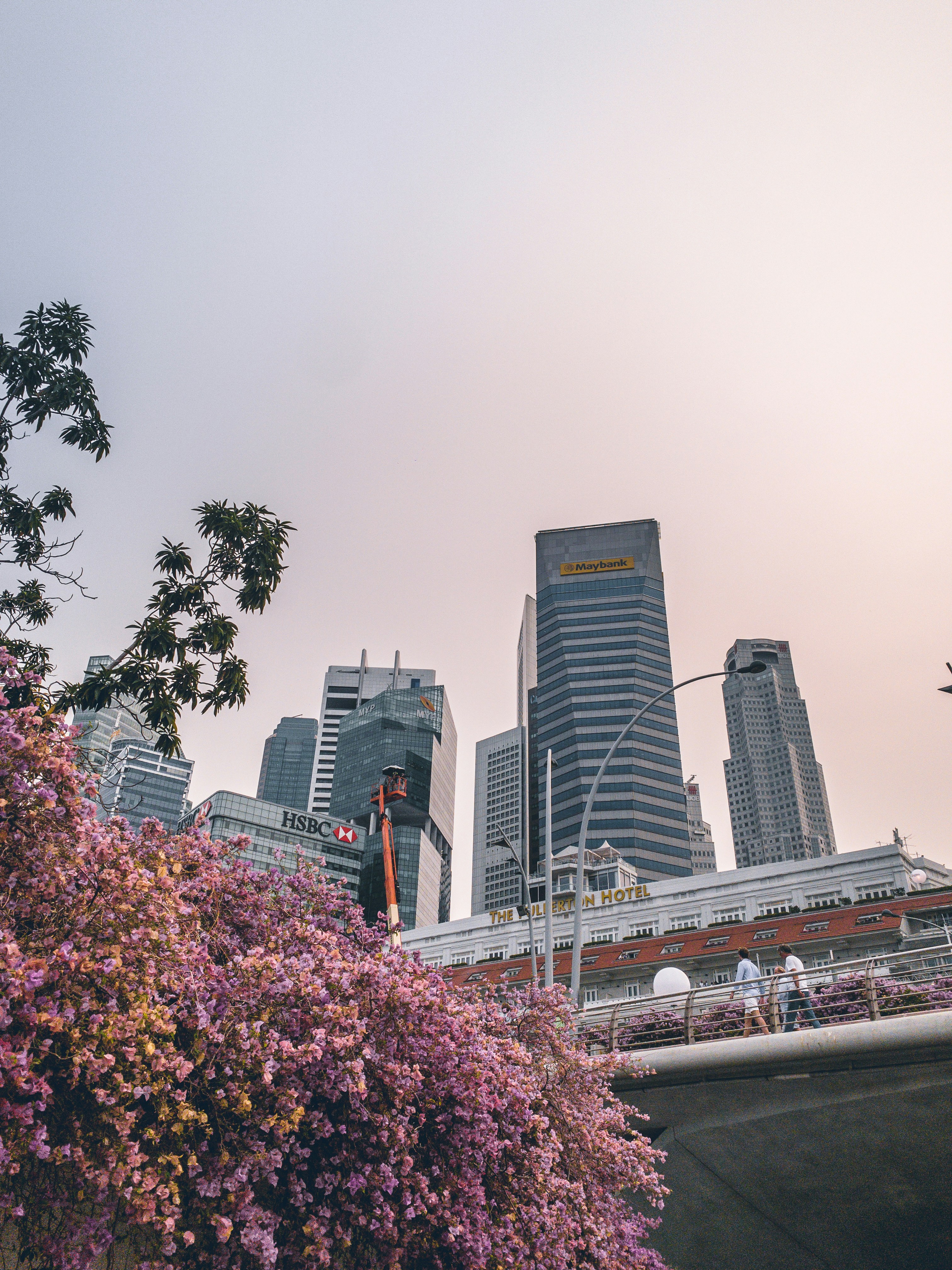 low-angle photography of city buildings during daytime