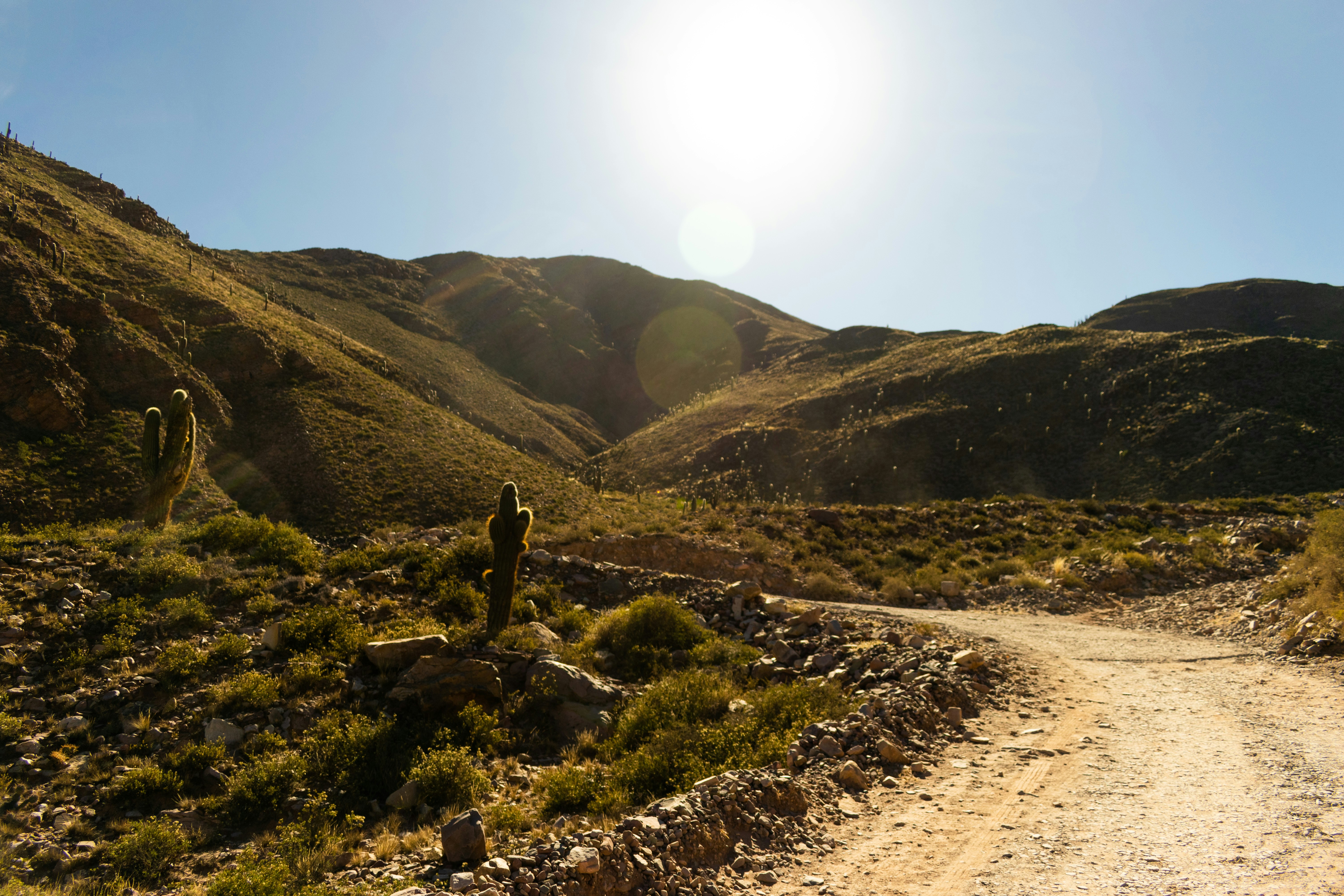 Brown footpath at daytime photo – Free Green Image on Unsplash