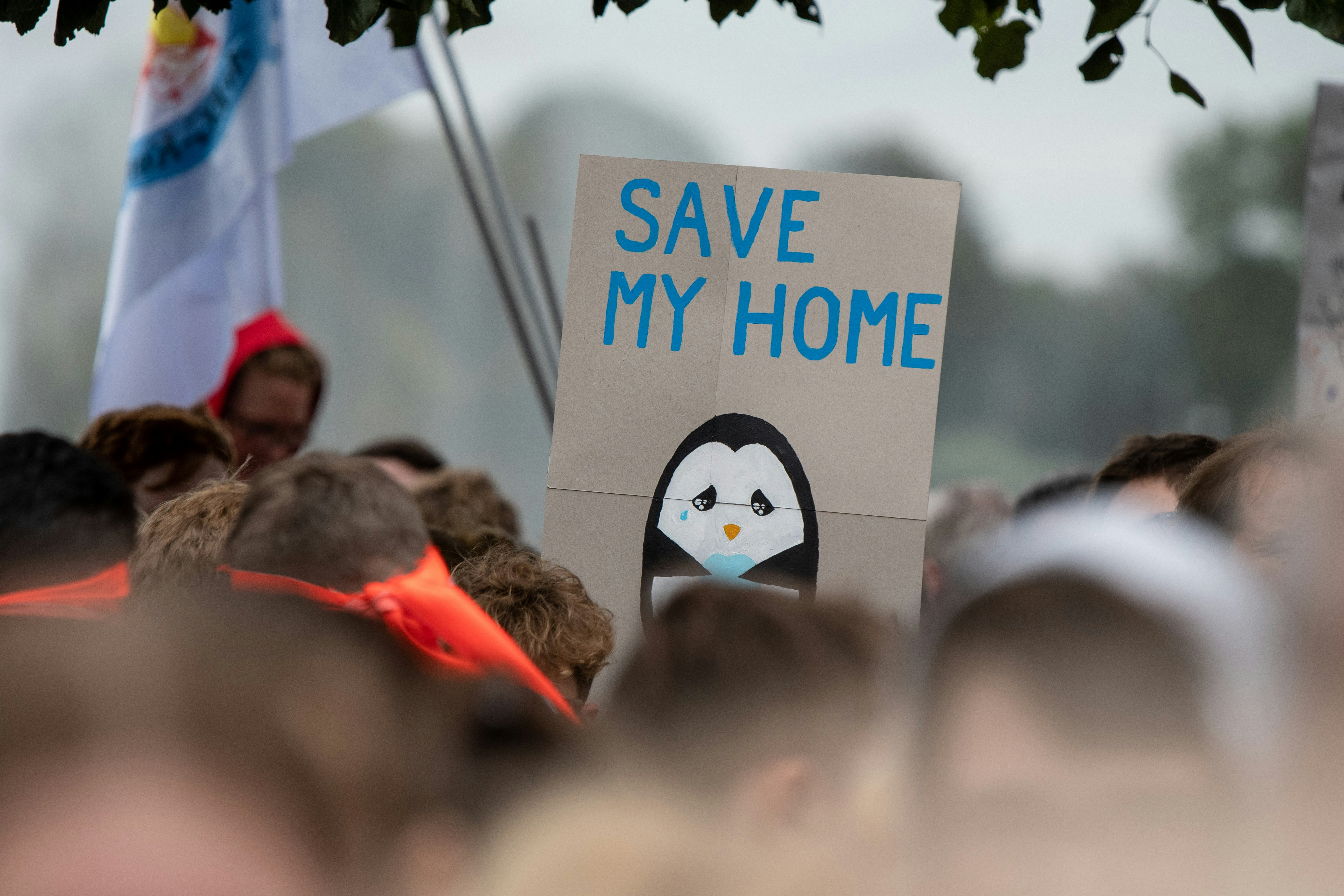 Shallow focus photo of save my home signage photo – Free Climatestrike ...
